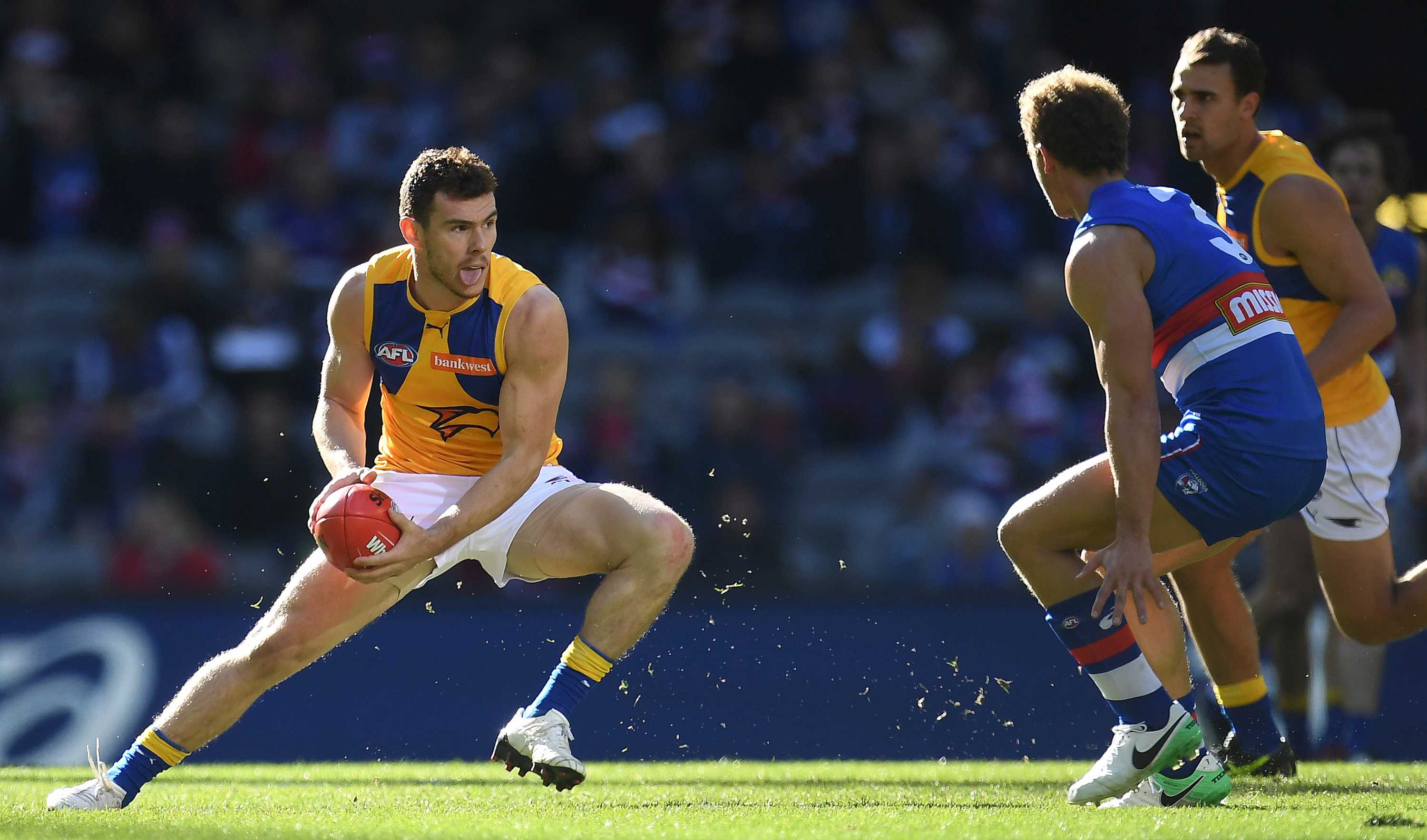 AFL round 15: Western Bulldogs v Eagles, Carlton v Adelaide, Suns v ...