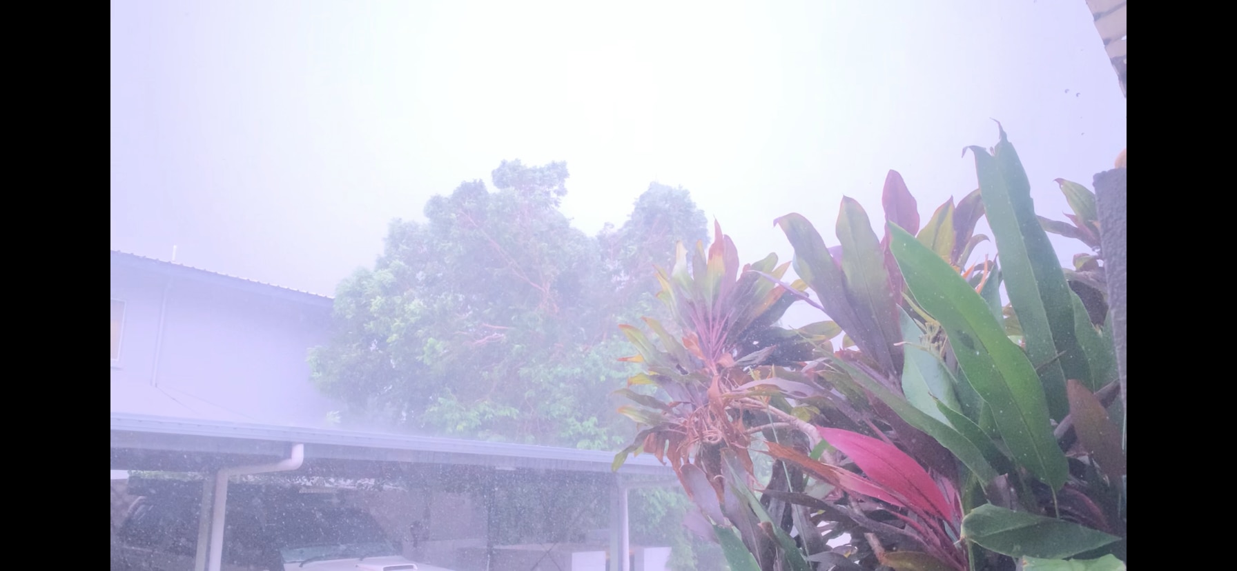 Rare green lightning spotted in record Darwin storm - ABC News