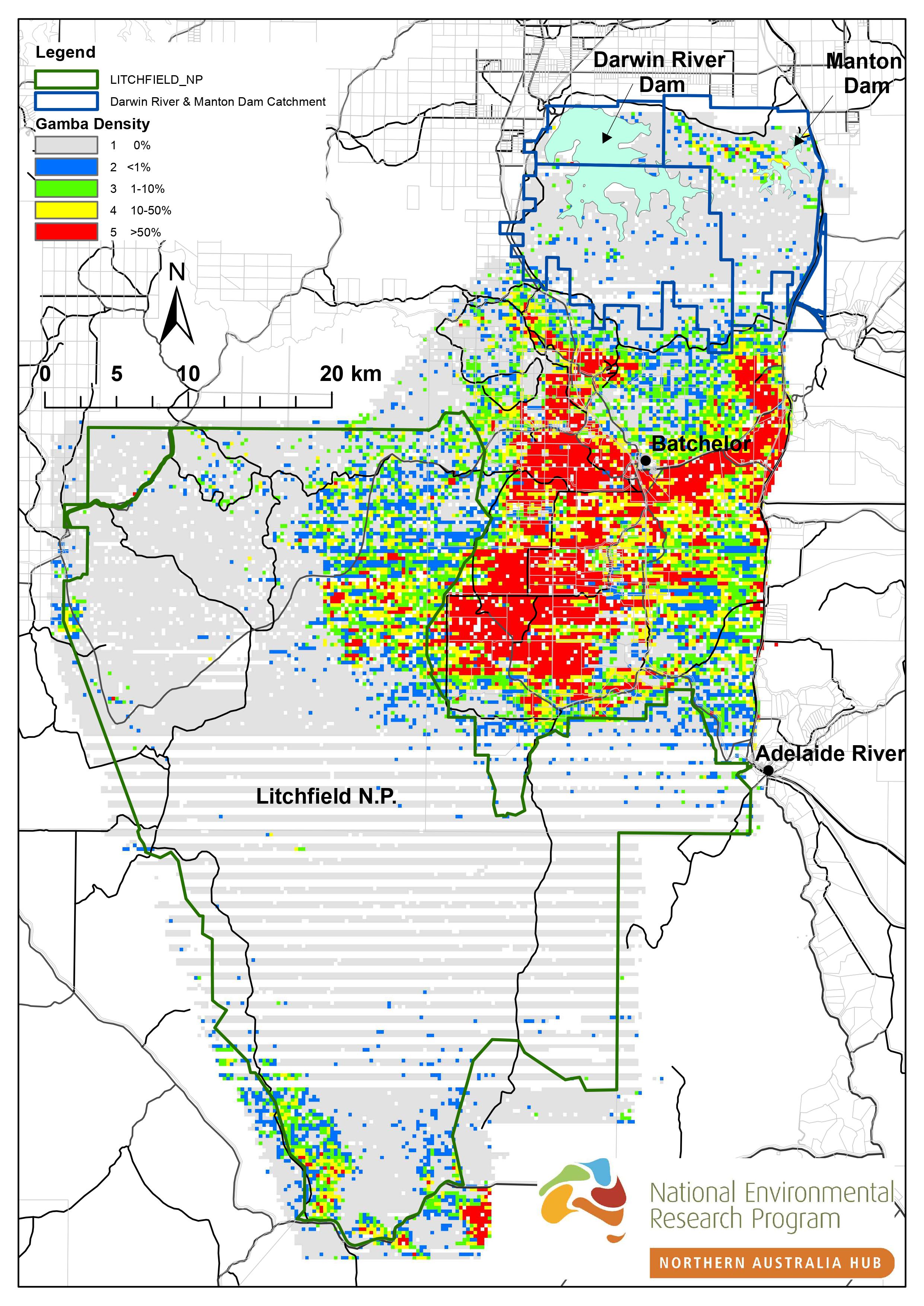 Gamba grass problem not given enough budget attention, say activists ...