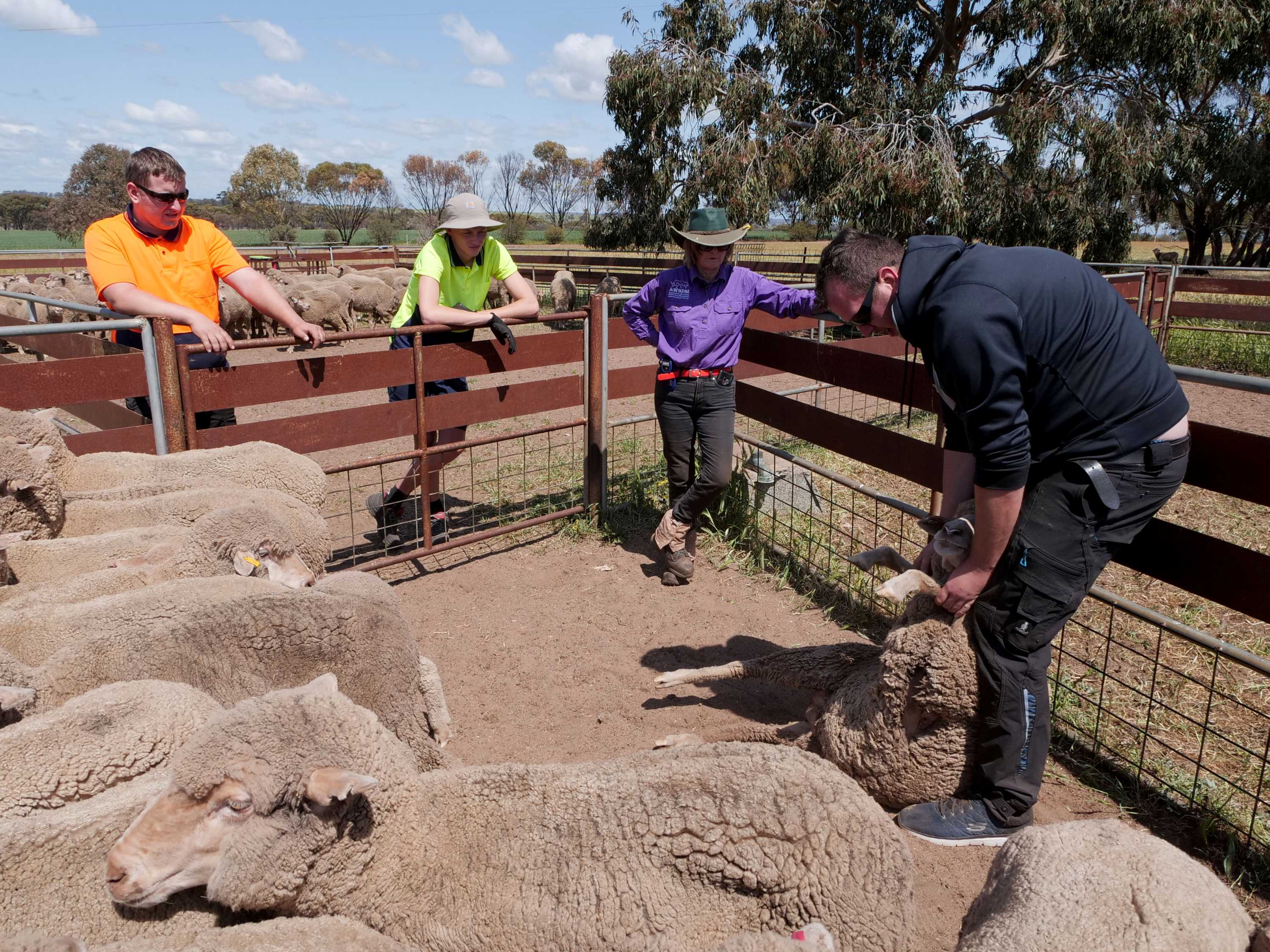 Backpackers prepare for life on the farm amid growing demand and ...