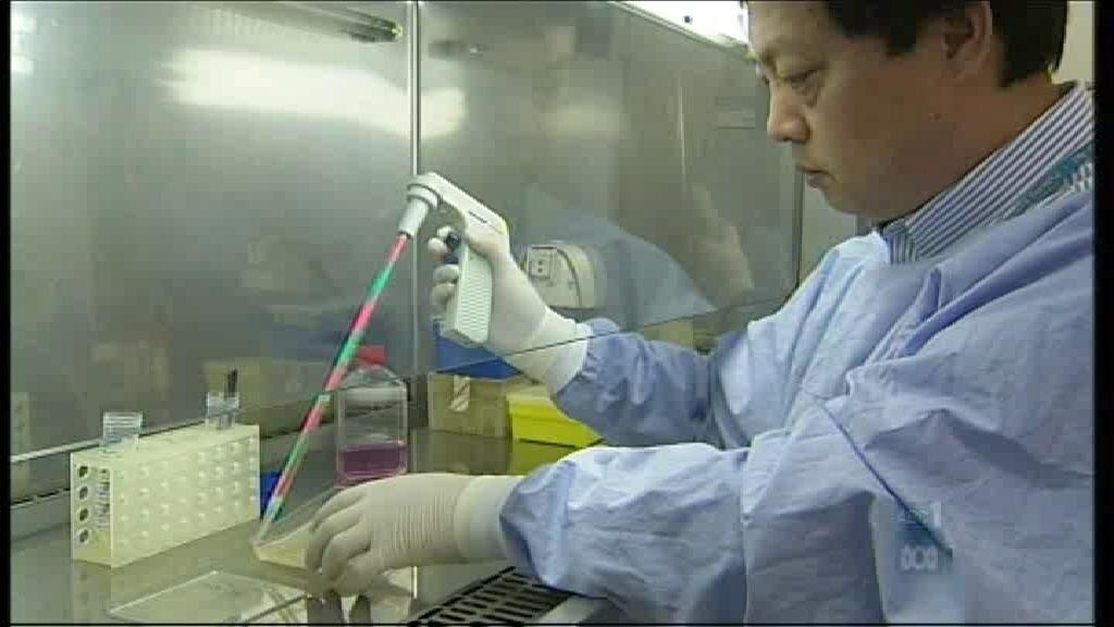 '3D' artificial skin for burns victims - ABC News