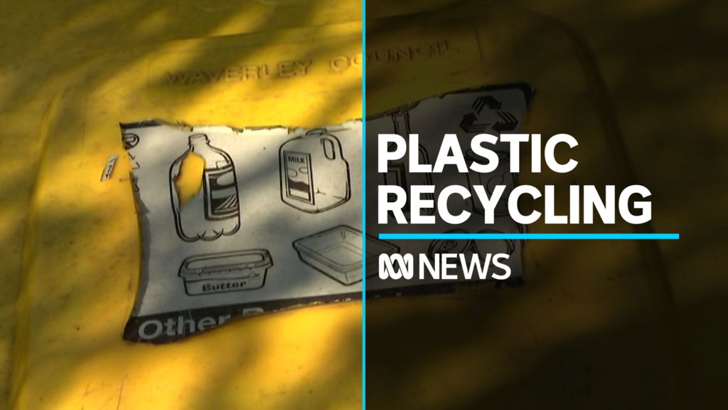 REDcycle declared insolvent by NSW Supreme Court - ABC News