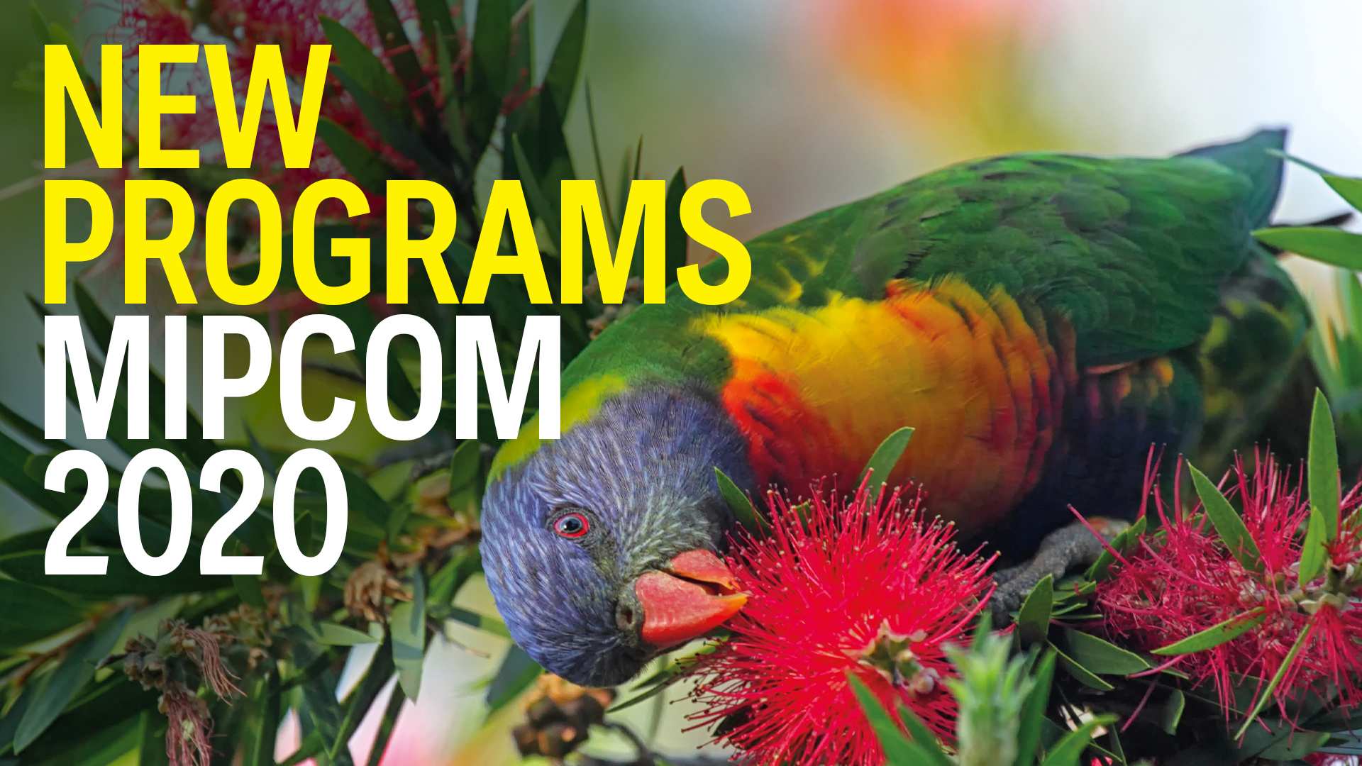 See what’s new for MIPCOM 2020: a stellar line-up from ABC Commercial ...