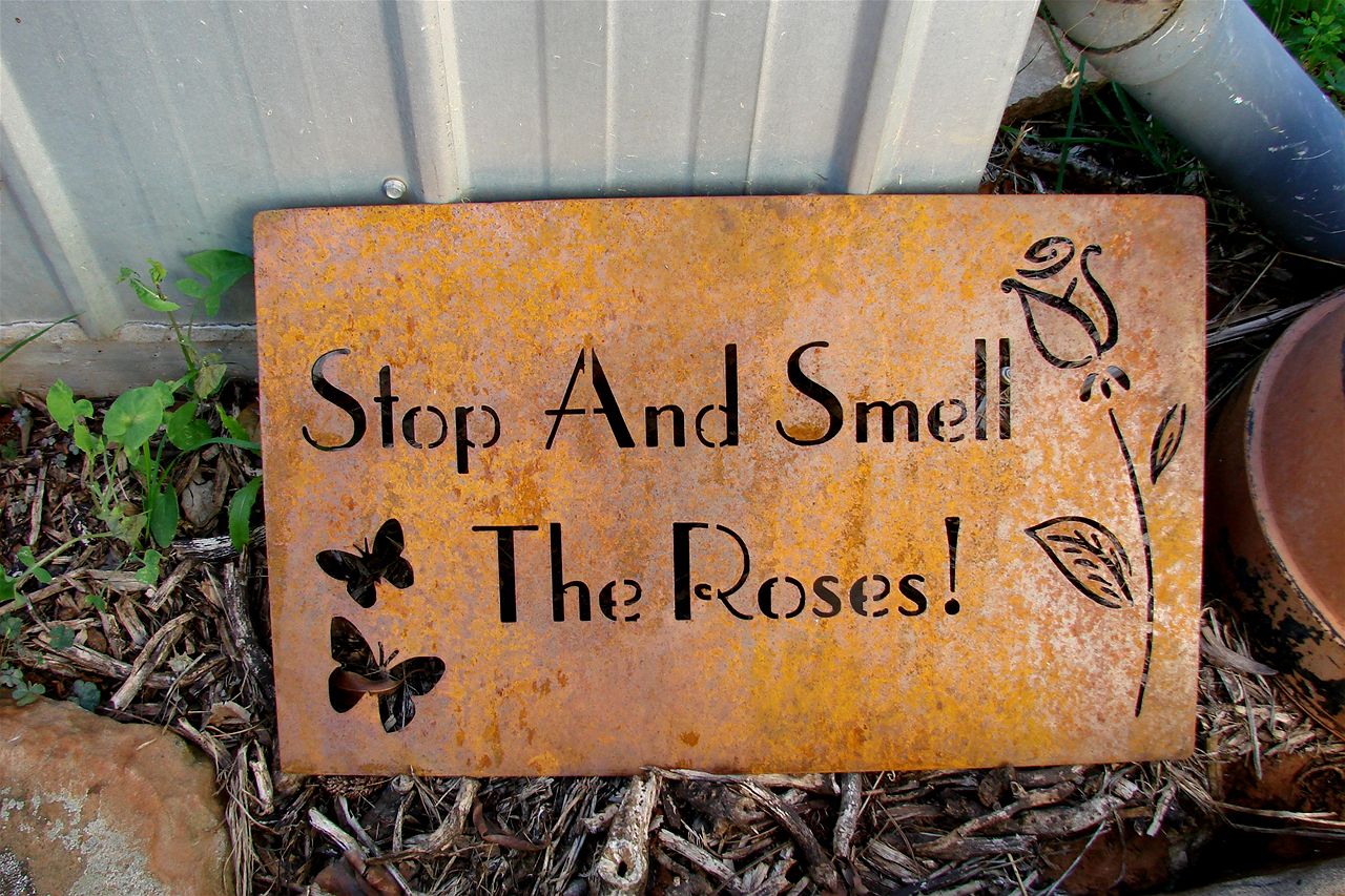 What advice or 'life hack' have you actually followed? - ABC listen