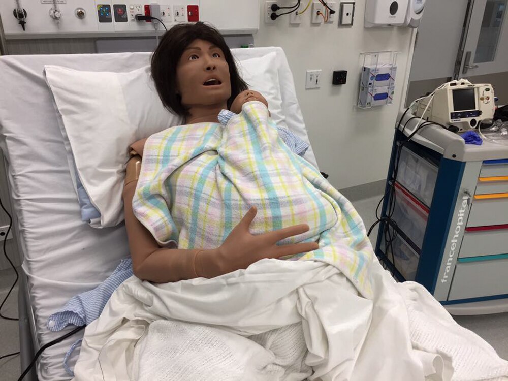 University of Adelaide $246m medical sciences building opens, complete ...