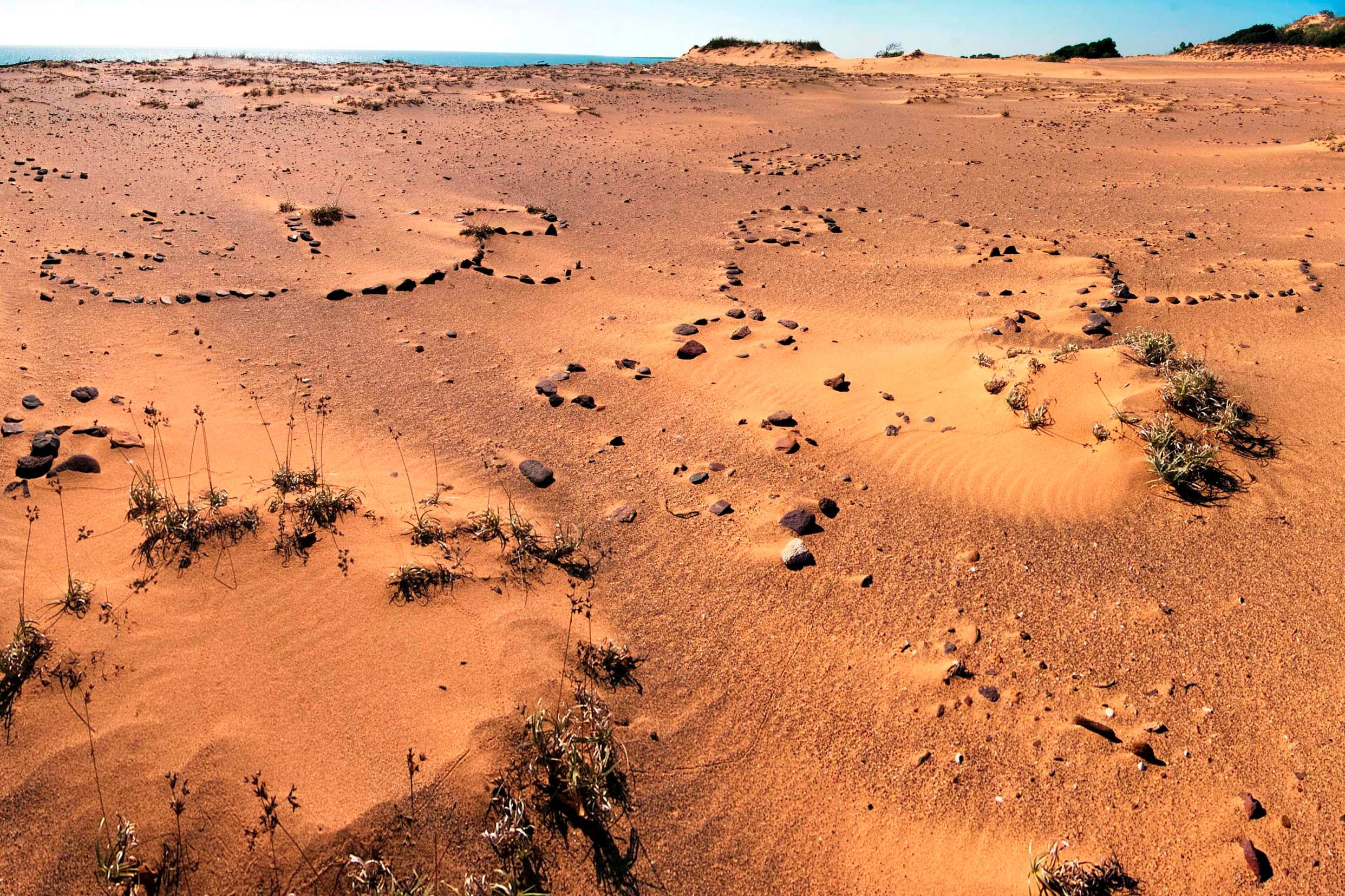 Pig hunters trespassing on Indigenous land a 'massive issue' Wadeye ...