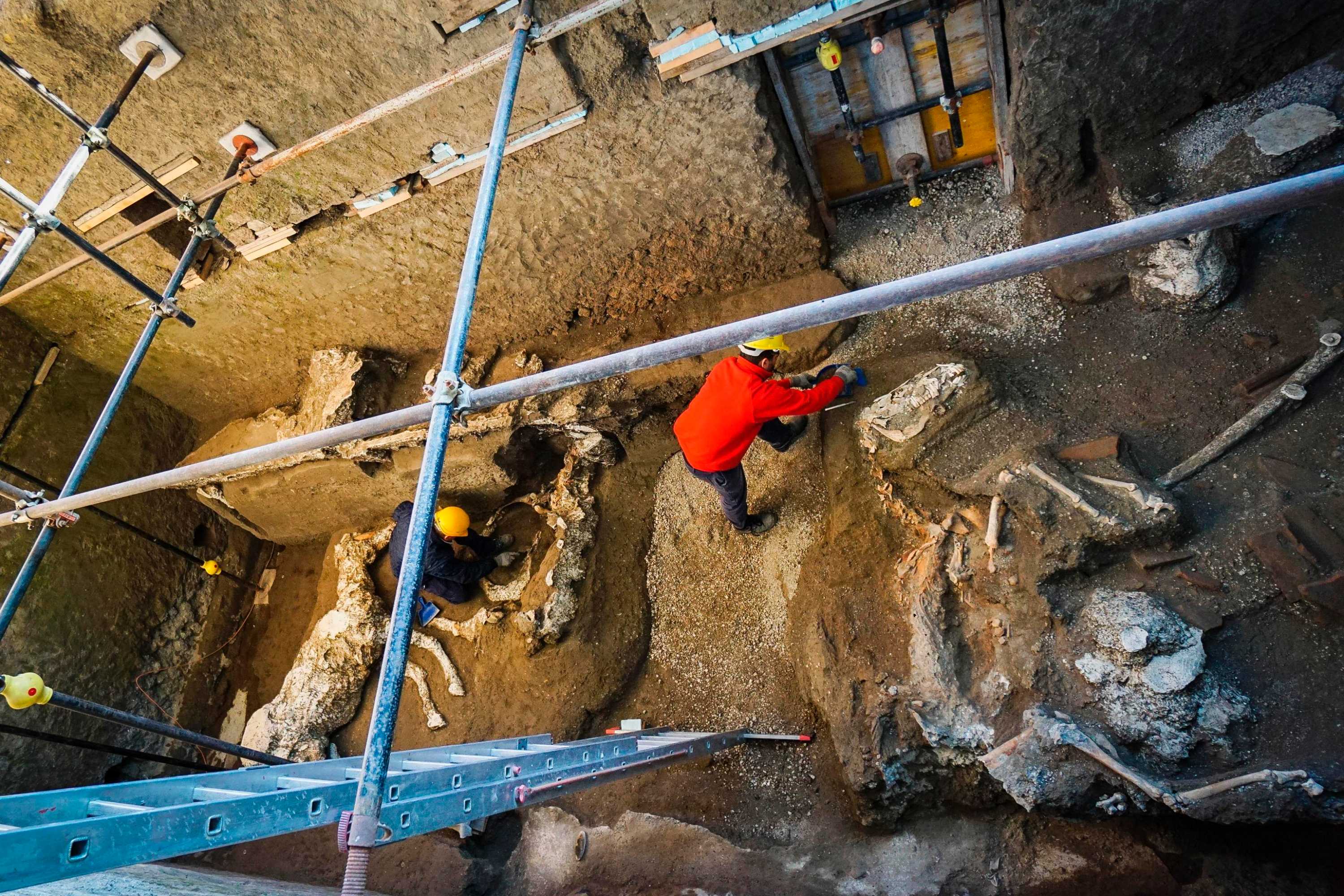 Archaeologists unearth harnessed horse remains in ancient stable near ...
