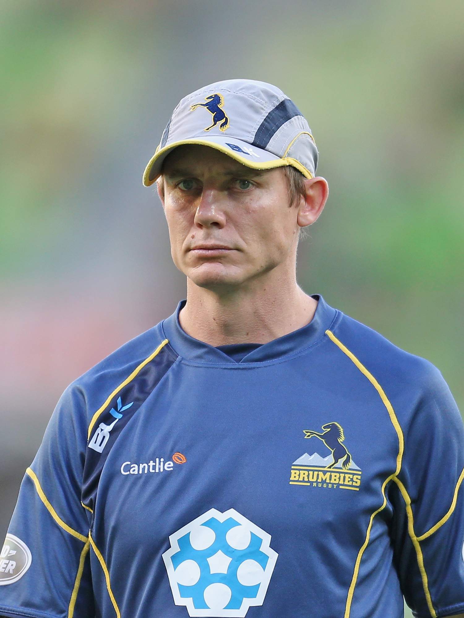 Brumbies to replace Jake White with either Stephen Larkham or Laurie ...