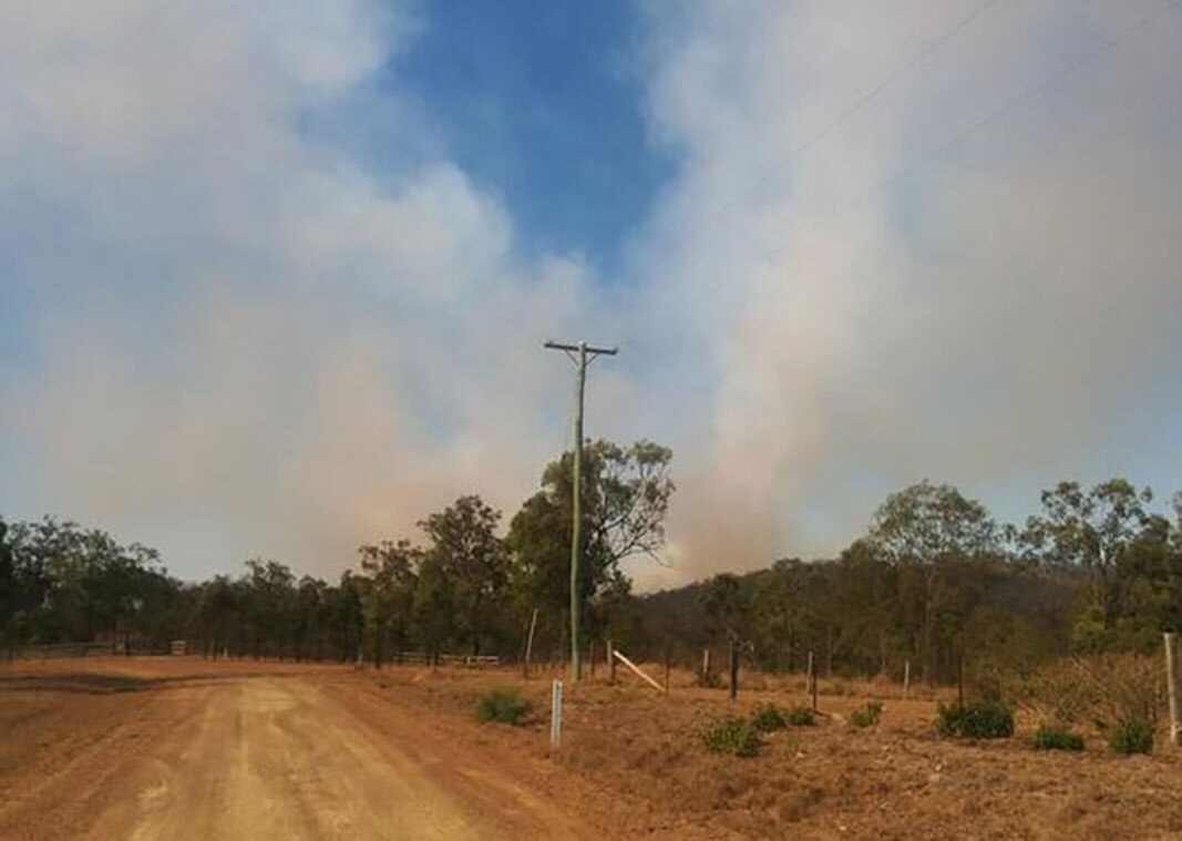 Teelah - 4306 - Location - ABC News