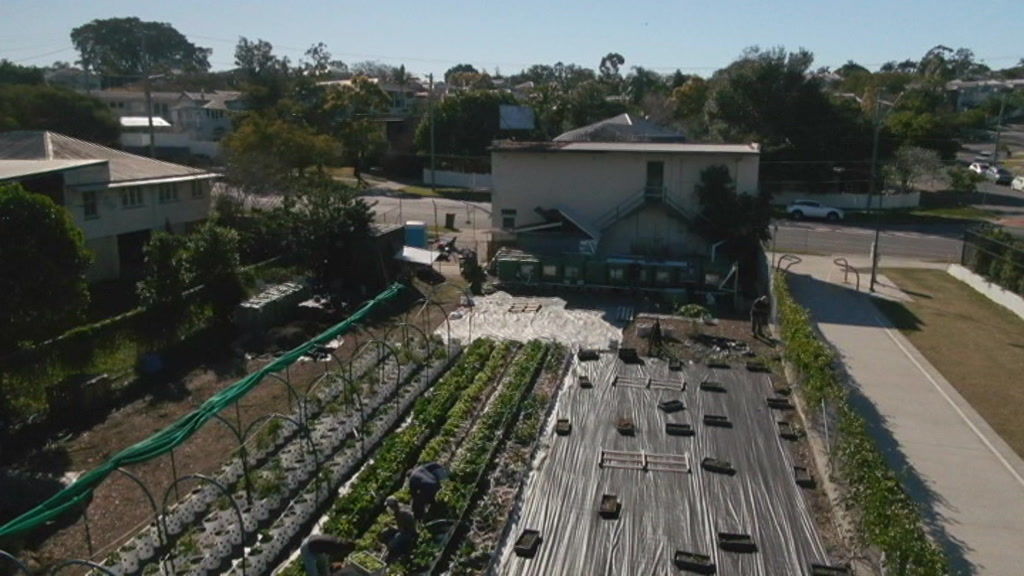 Samford - 4520 - Location - ABC News