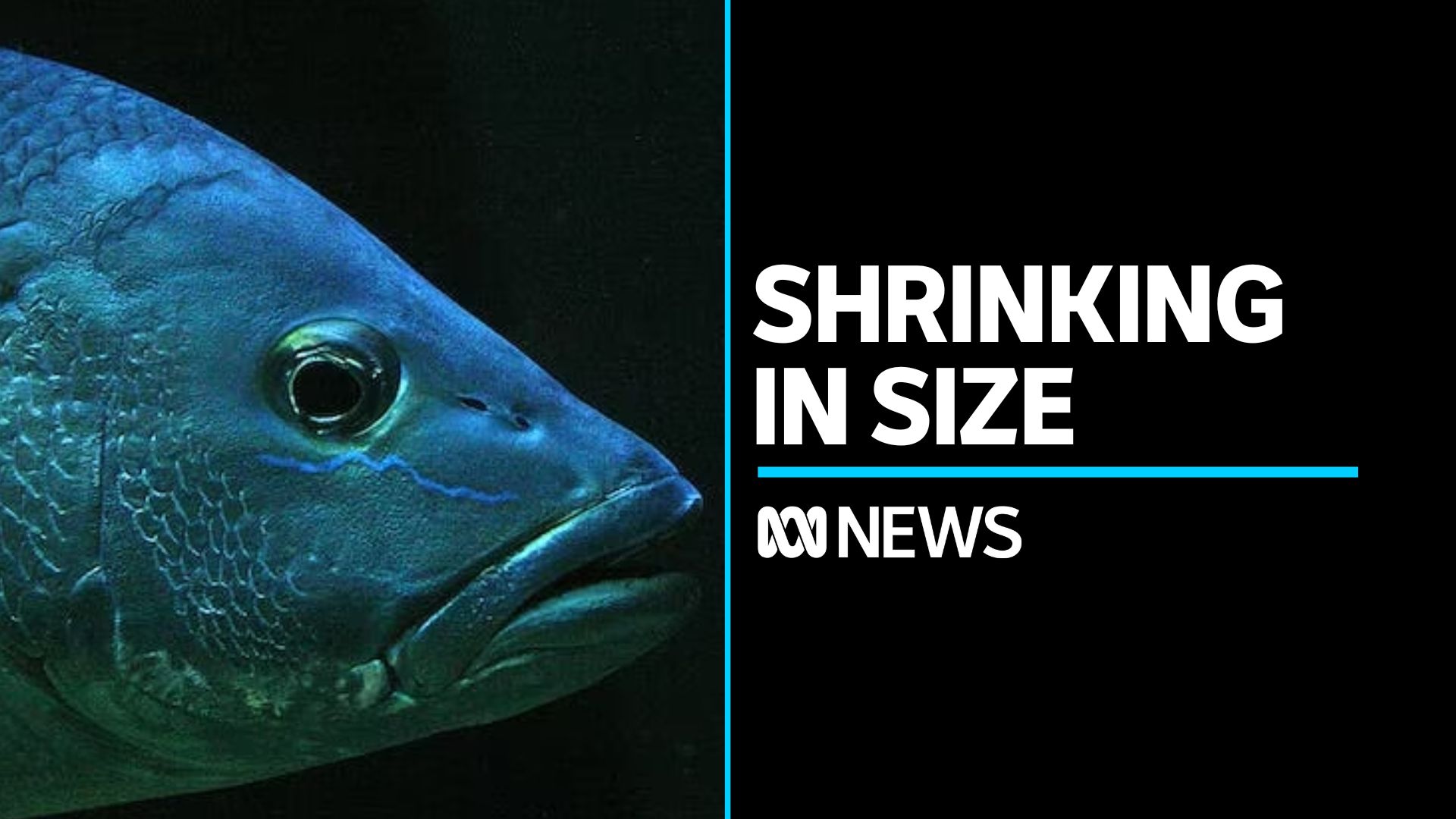 Indigenous photographer launches exhibition showing squalid living ...