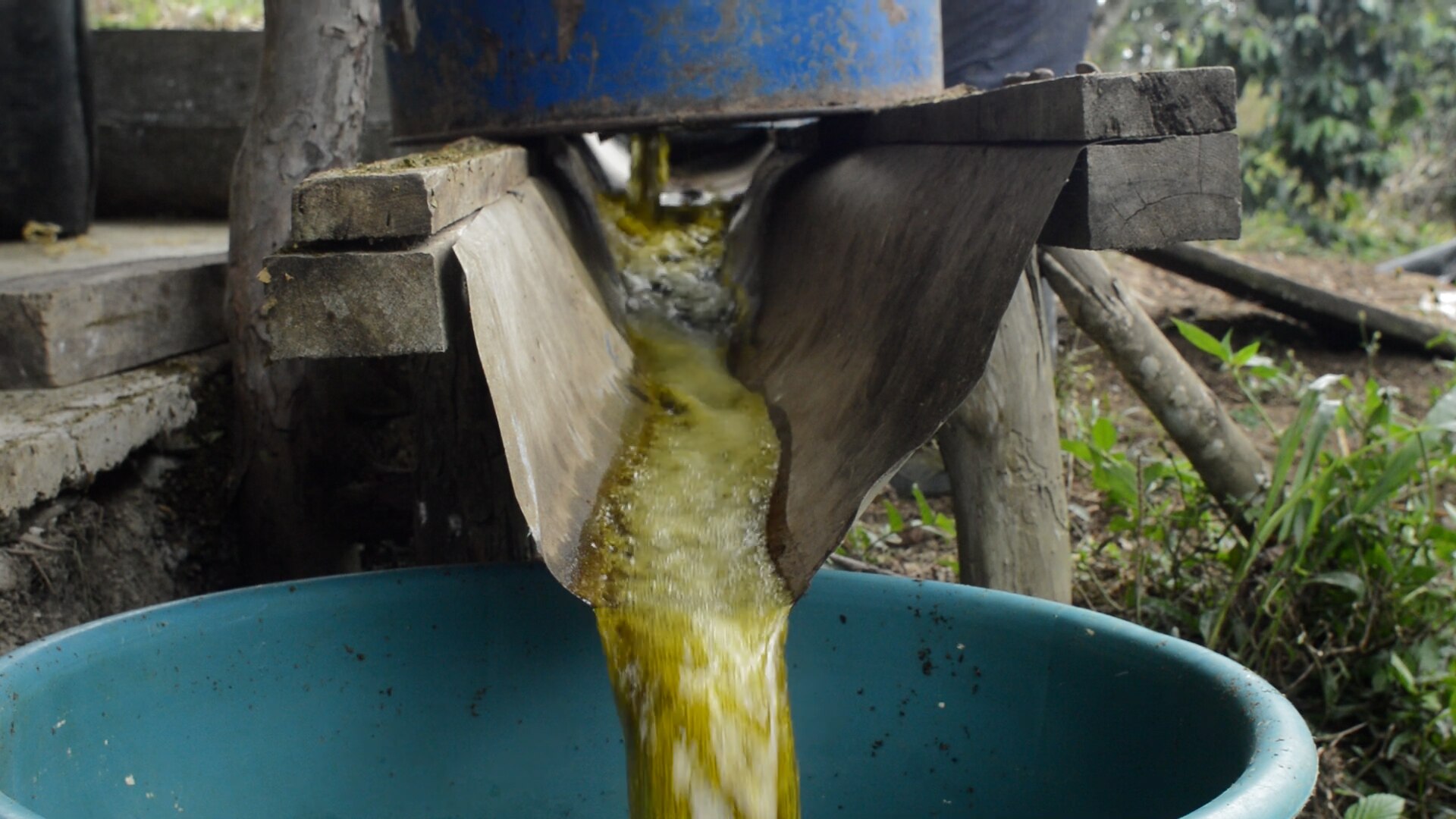 One stage of the production of the illicit substance cocaine in ...