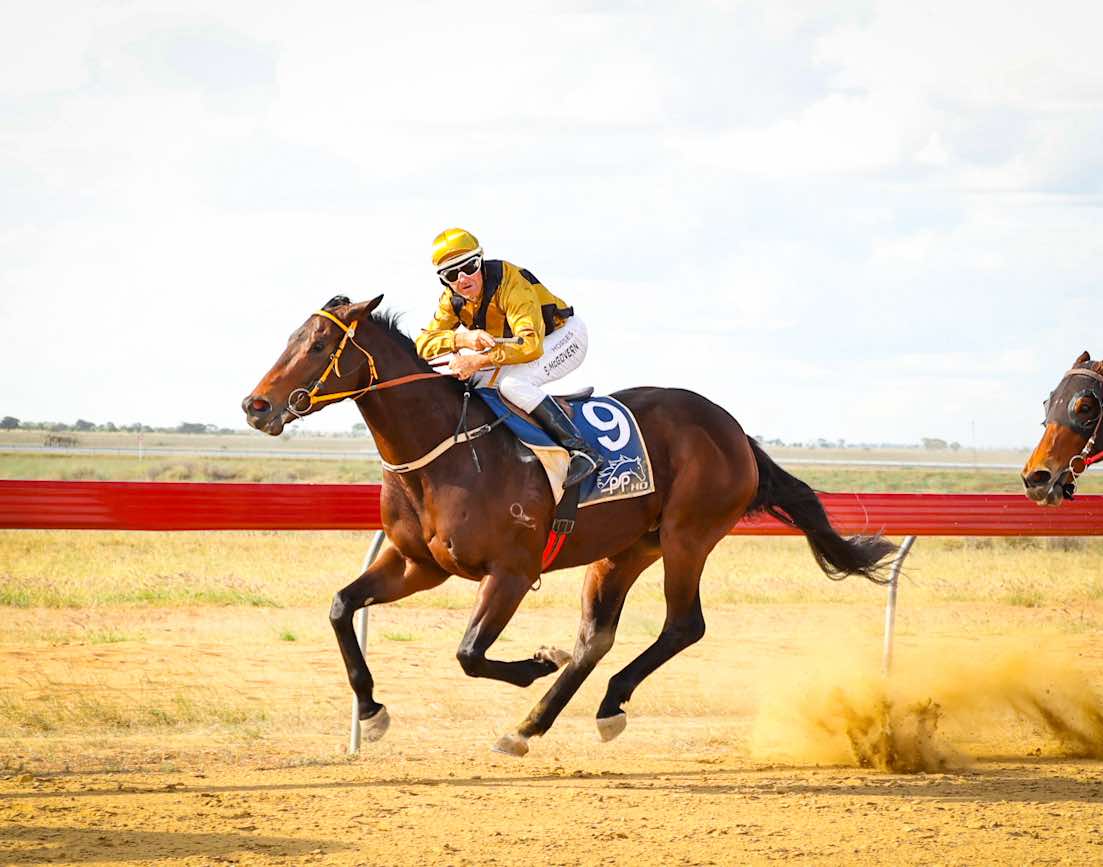 Queensland jockey Shane McGovern dies in hospital after training ...