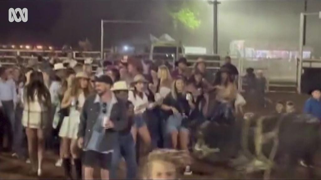 More vision of rogue bull emerges on social media - ABC News