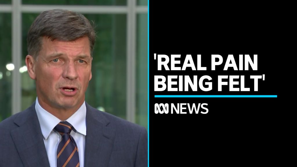 Taylor: We need a government that does not mislead the public - ABC News