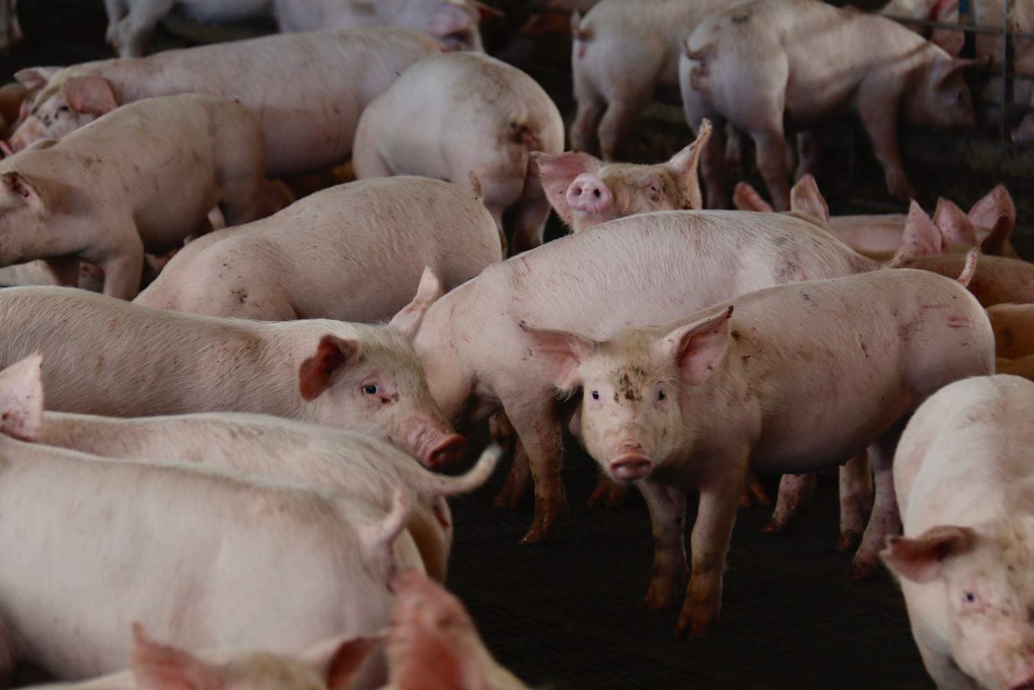 Science with Charlie Lineweaver: China on Mars, watering plants in ...