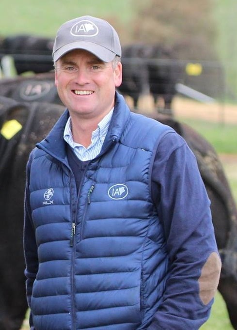 Irelands Angus bull sale falls short for breeder that owes creditors ...