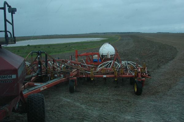 Rain encourages early winter crop planting in WA - ABC News