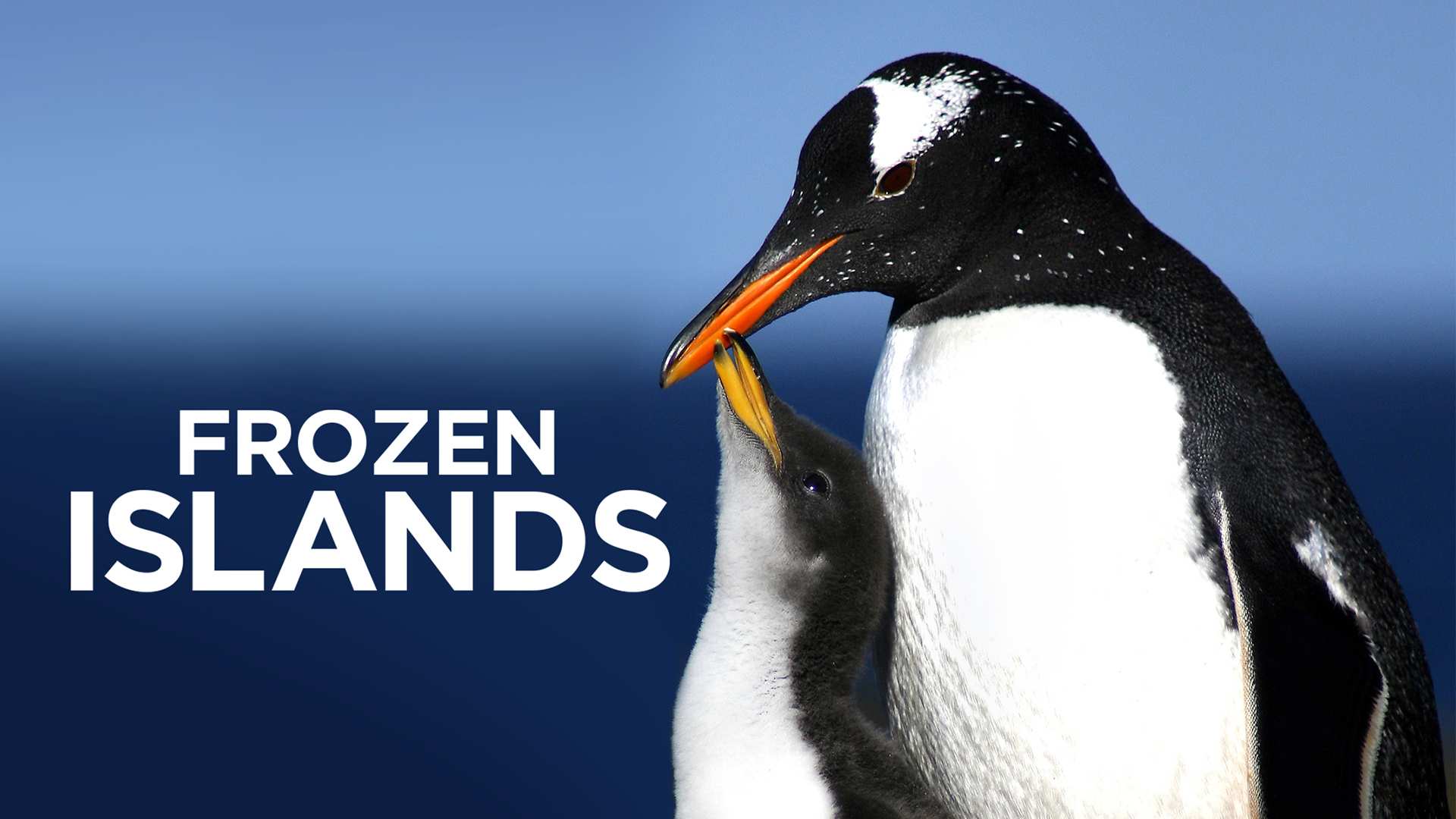 Frozen Islands - ABC Content Sales