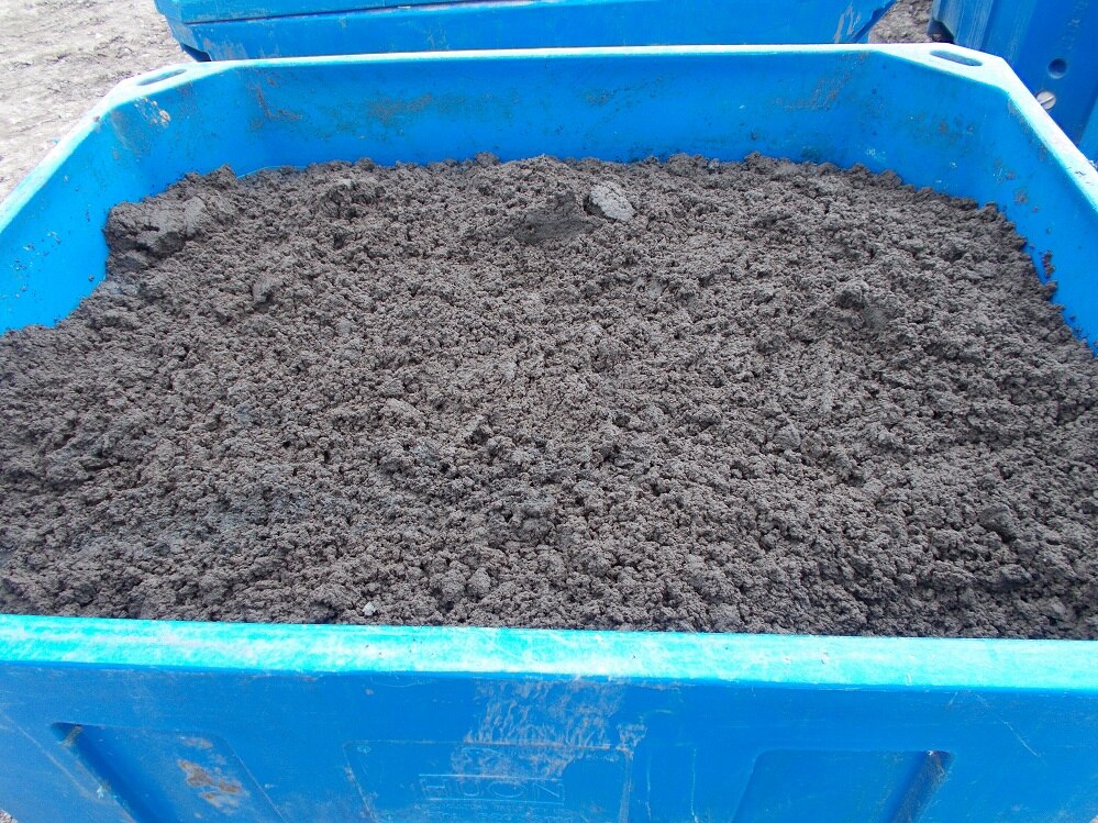 Fish poo project going swimmingly on this Tasmanian farm as soil reaps ...