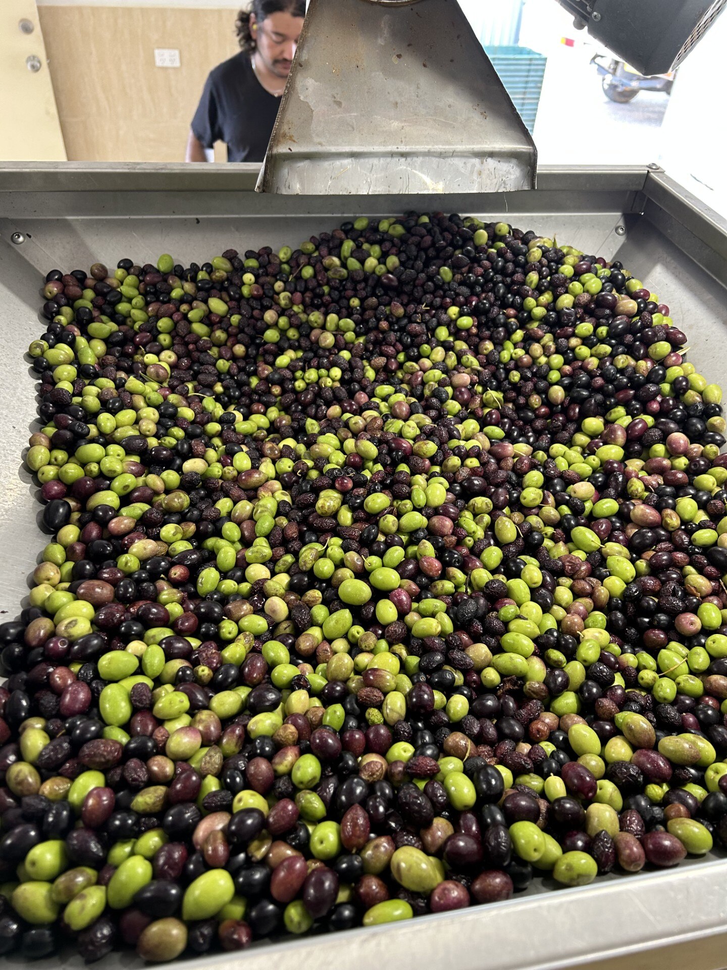 How olive oil from a Broken Hill 'dust bowl' landed on the tables of ...