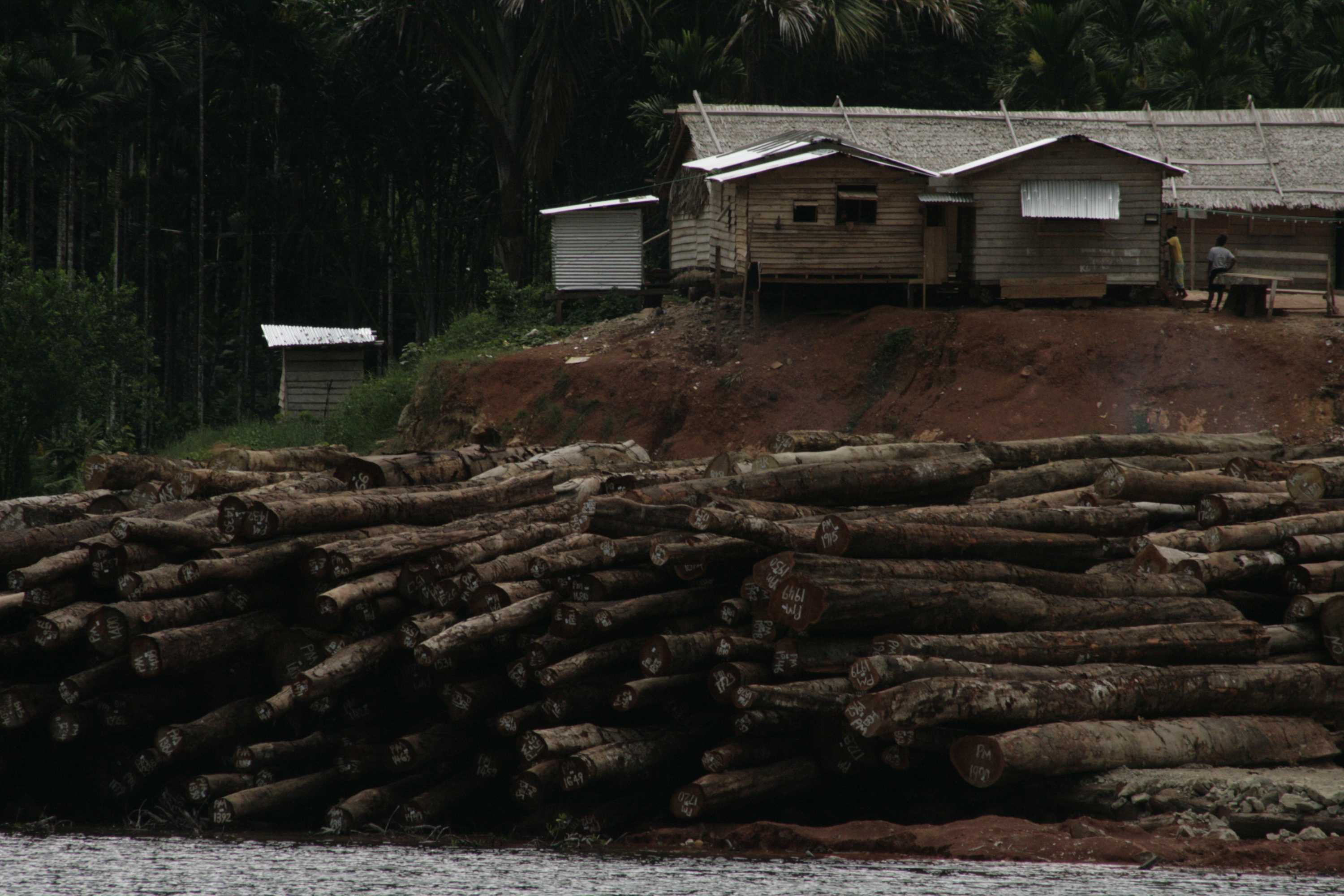 Solomon Islands' Central Islands Province bans new logging operations ...