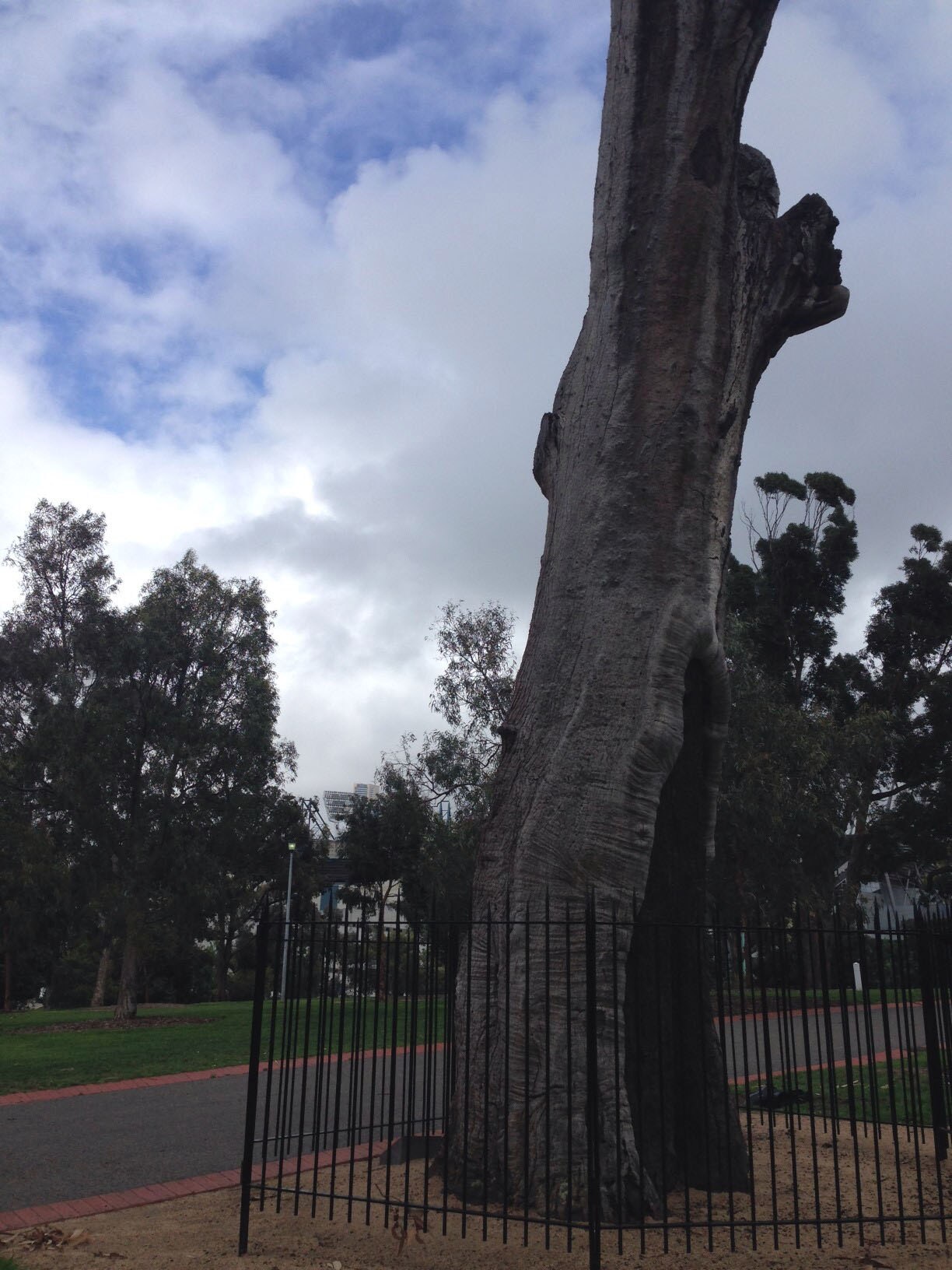 Victorian Aboriginal leaders promote better local understanding of ...