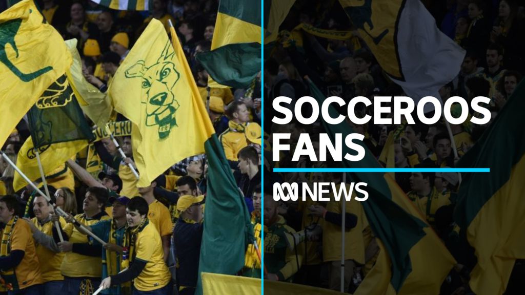 Green and Gold Army arriving in Qatar for Socceroos matches - ABC News