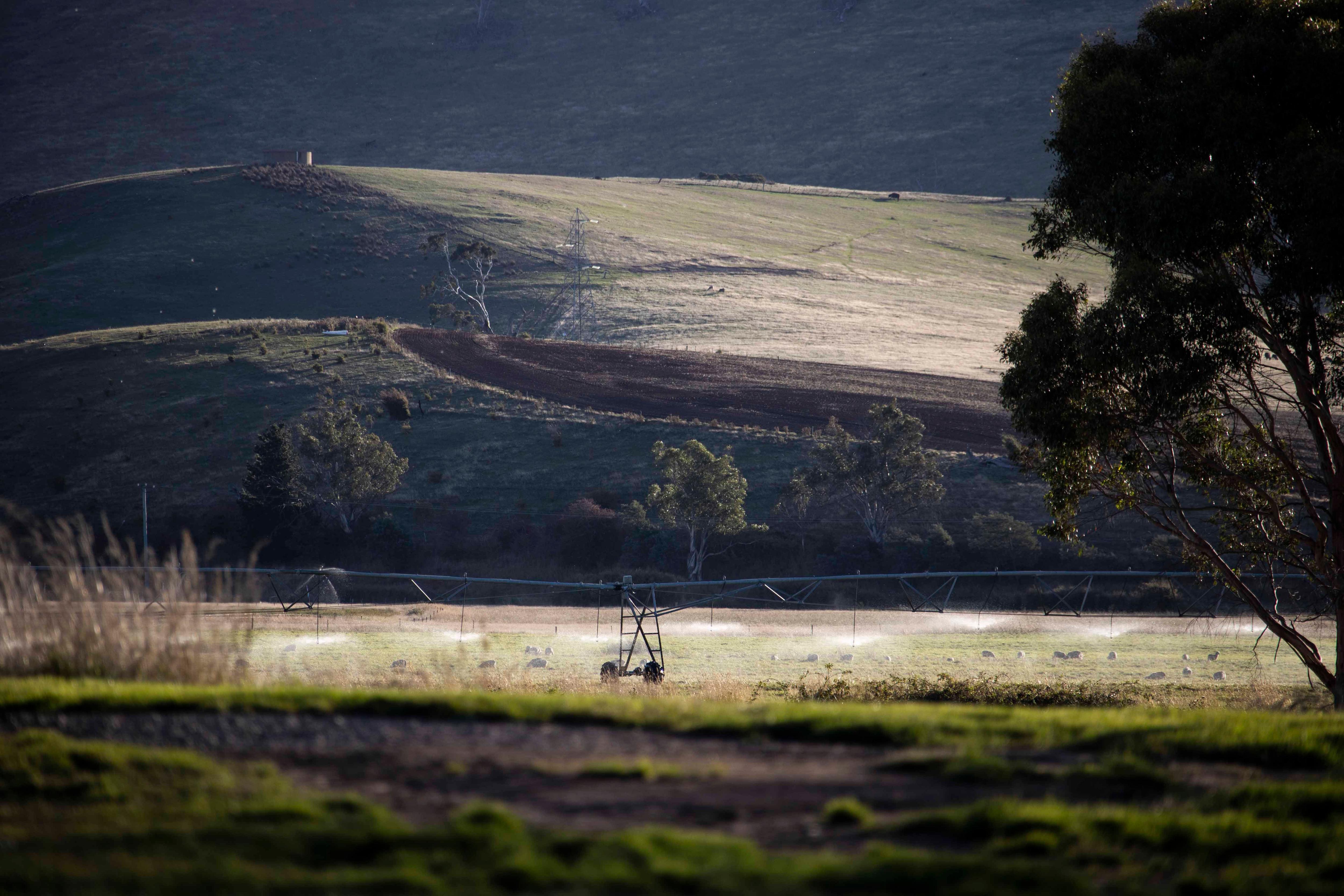 Queen Elizabeth II stayed on Tasmanian family's farm during ...