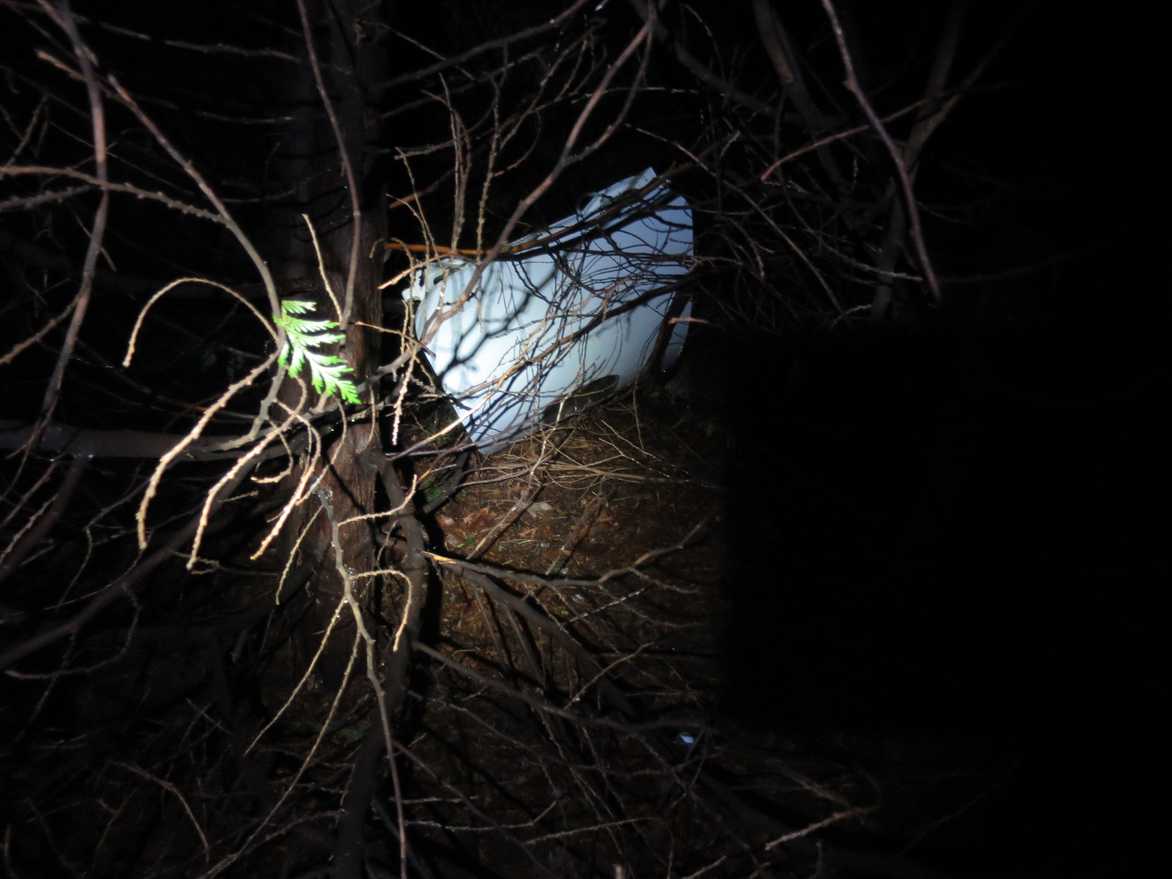 Portland school teacher surprised to discover Boeing jet door plug in ...