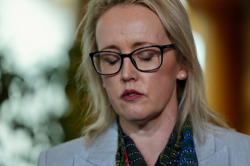Peter Dutton's nightmare nearly comes true as South Australian Liberals ... Peter Dutton's nightmare nearly comes true as South Australian Liberals ...