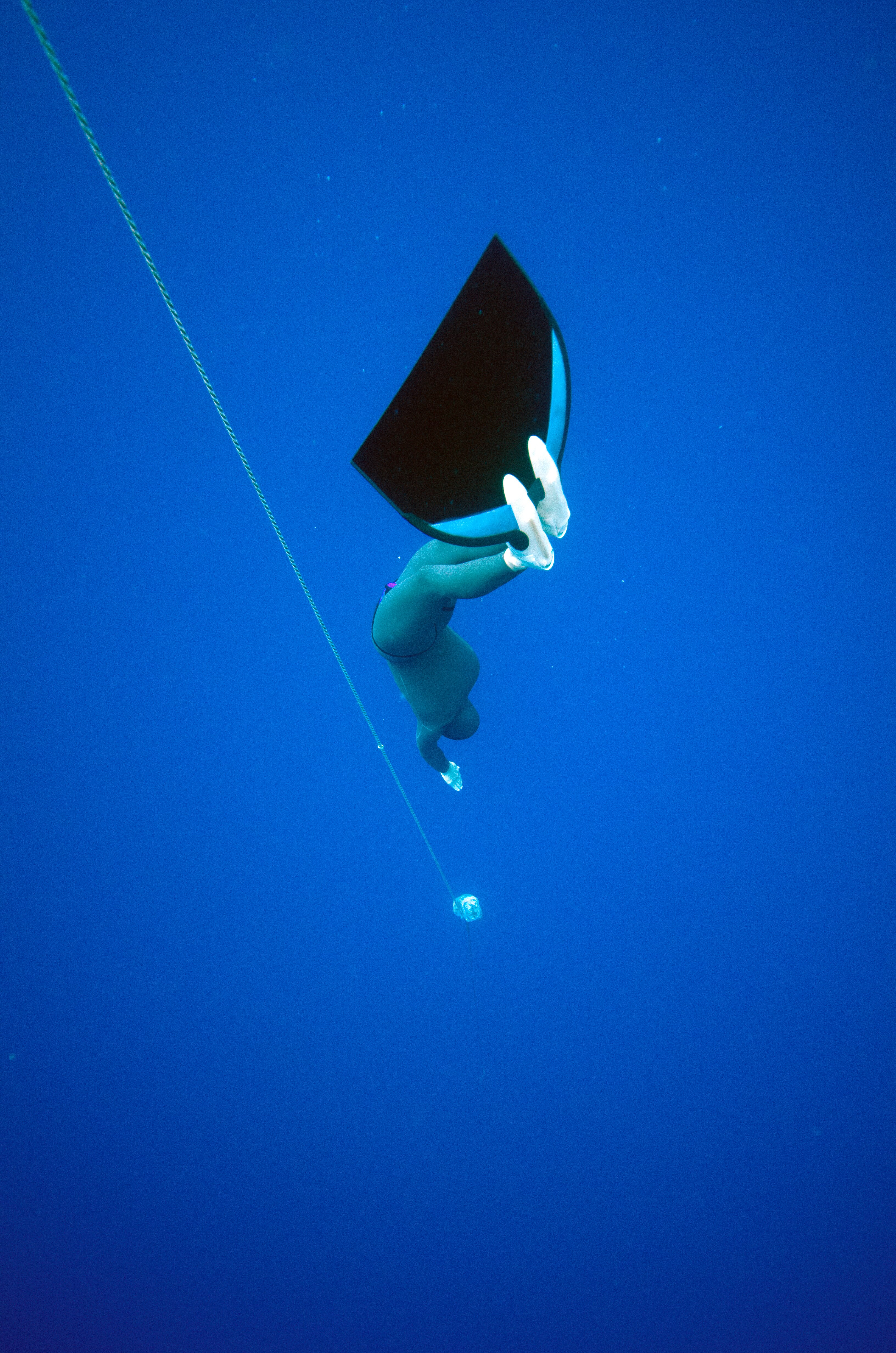 Australian takes diving to new depths - ABC News