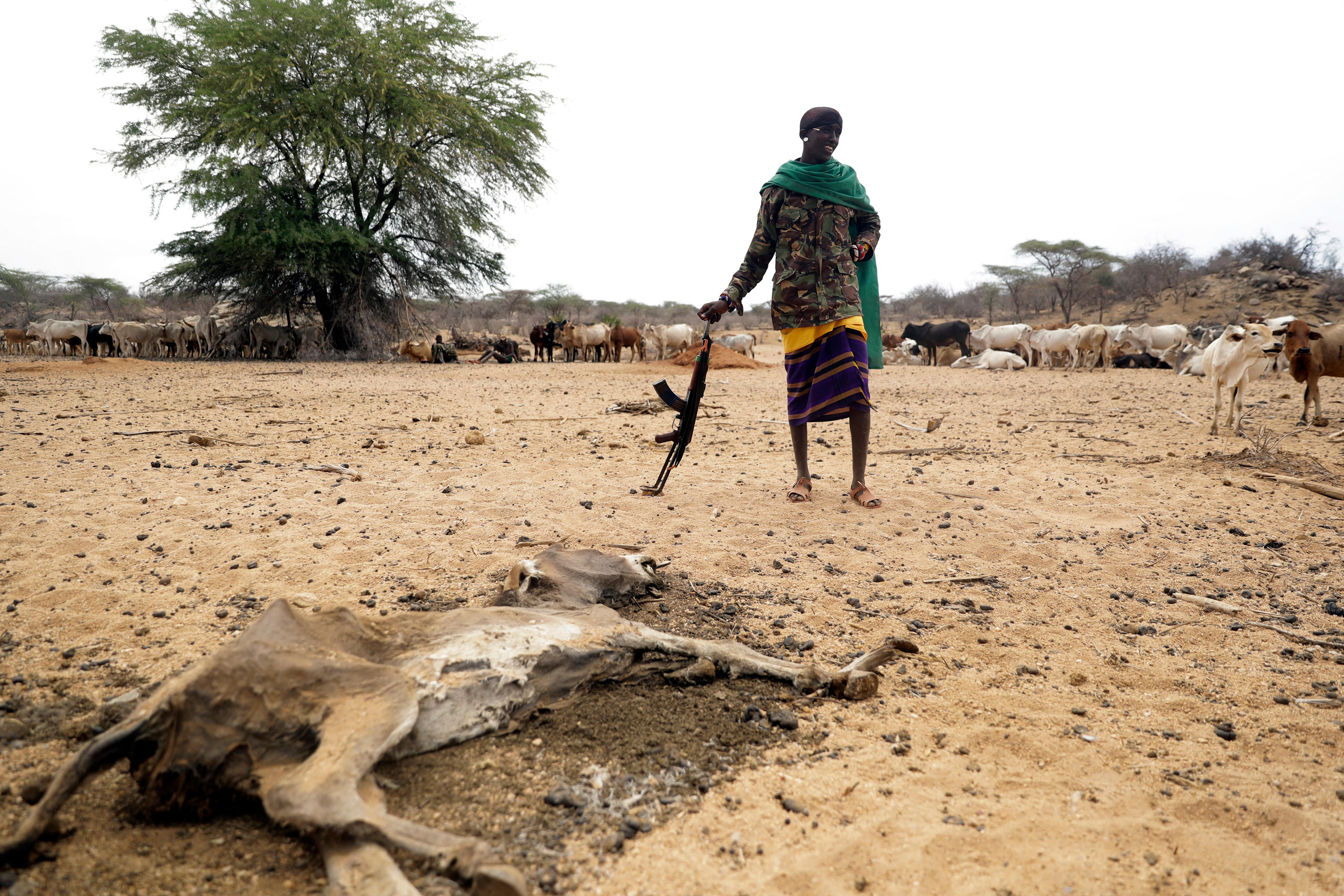 In brutal drought, Kenyan herders look for hope underground - ABC News