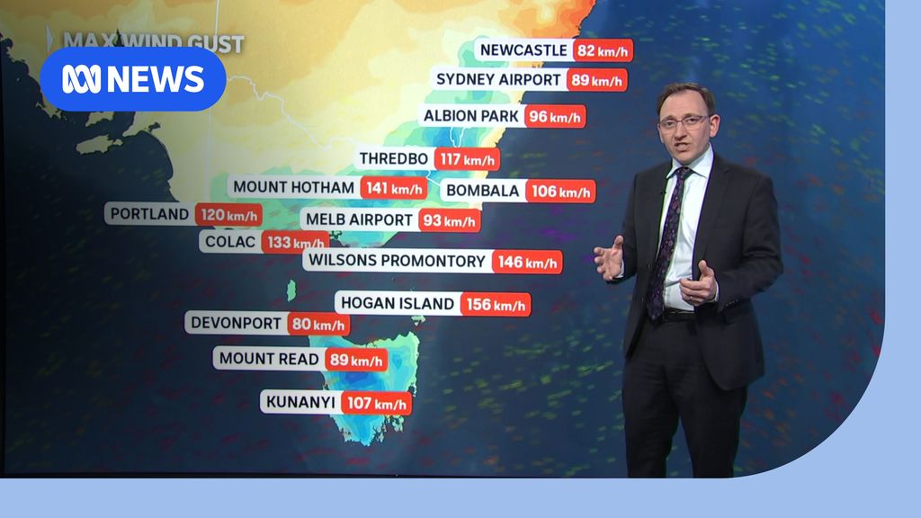 Tom Saunders breaks down gale force winds battering south east - ABC News