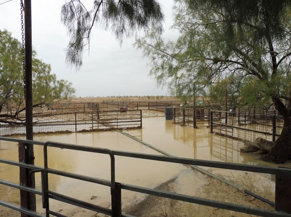 Rain but not much relief in western Queensland - ABC listen