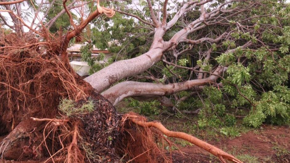 The year that was 2015 in the Northern Territory - ABC News