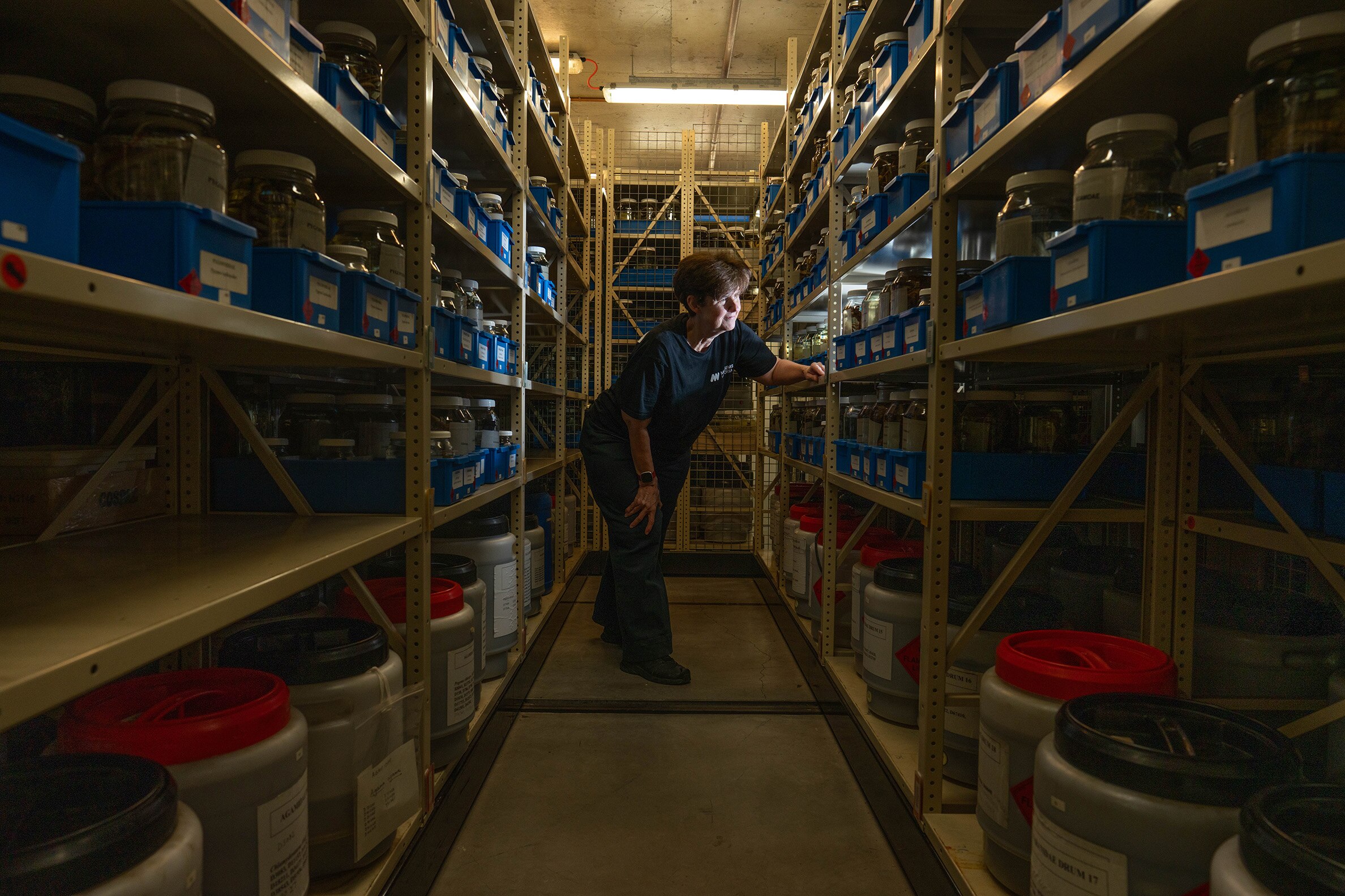 Unlocking secrets deep inside the world's most precious specimens - ABC ...