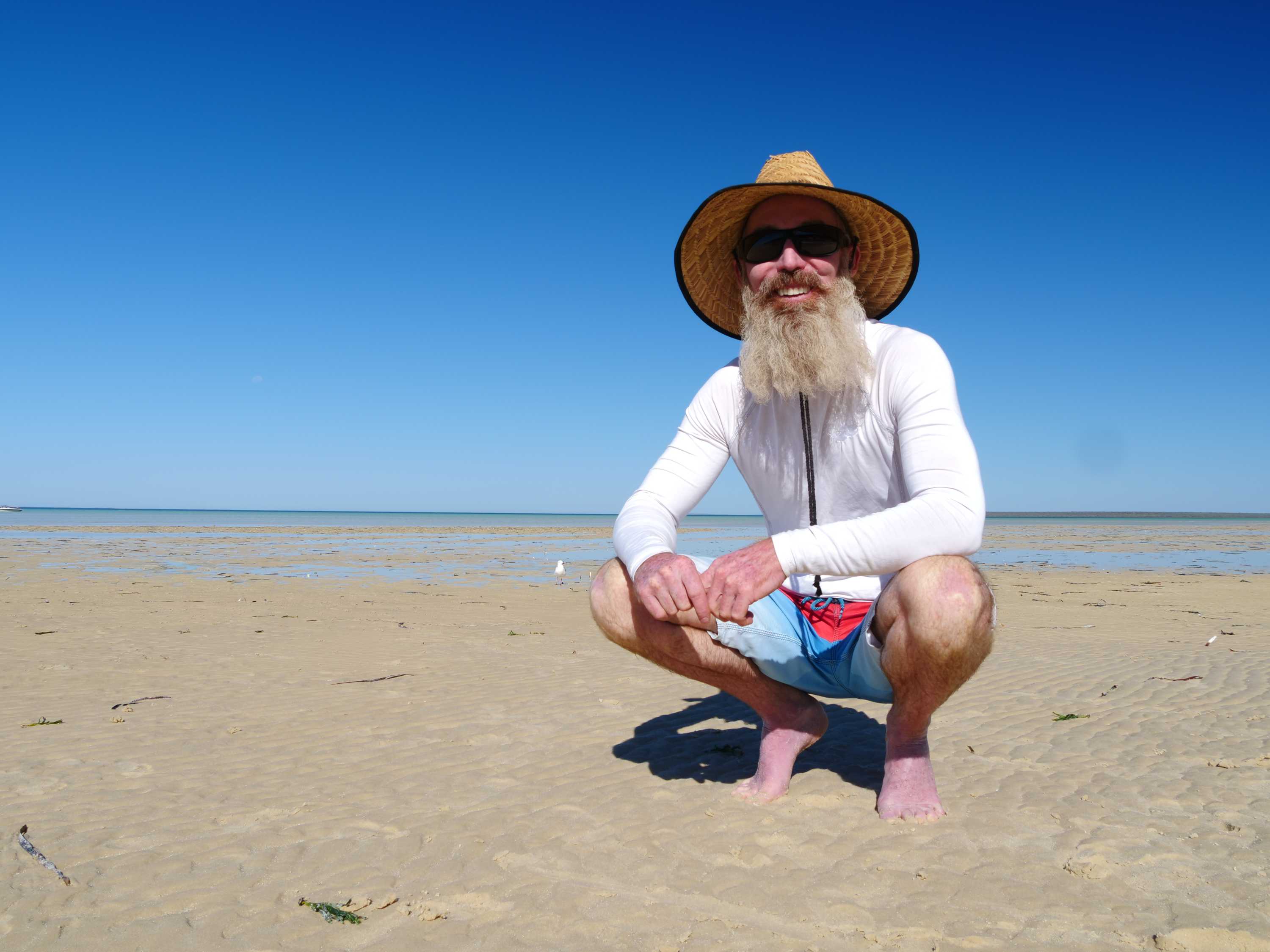 Shark ark best way for Shark Bay to protect local community, campaigner ...