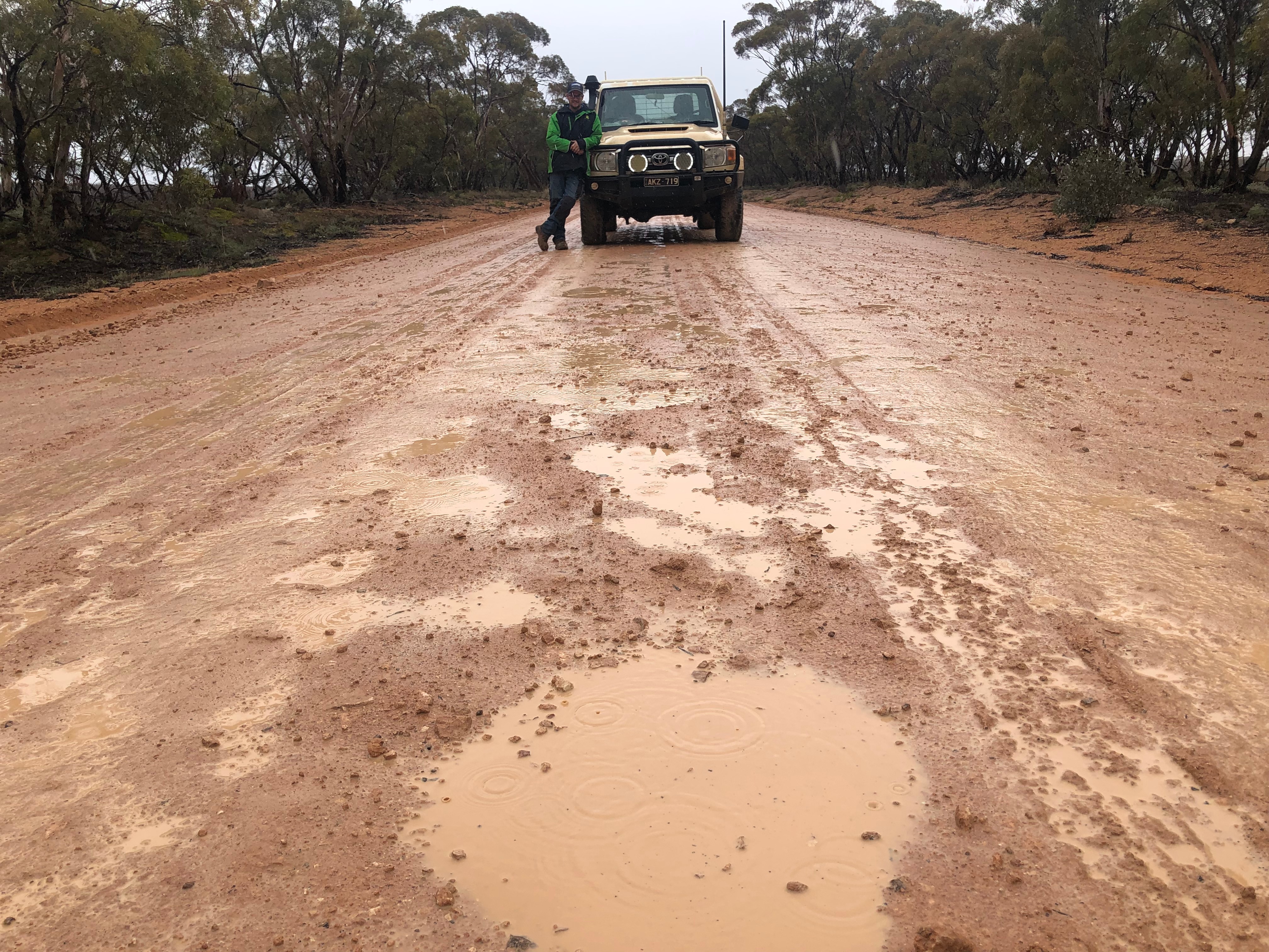 Victorian potato farmer spitting chips over state of council road - ABC ...