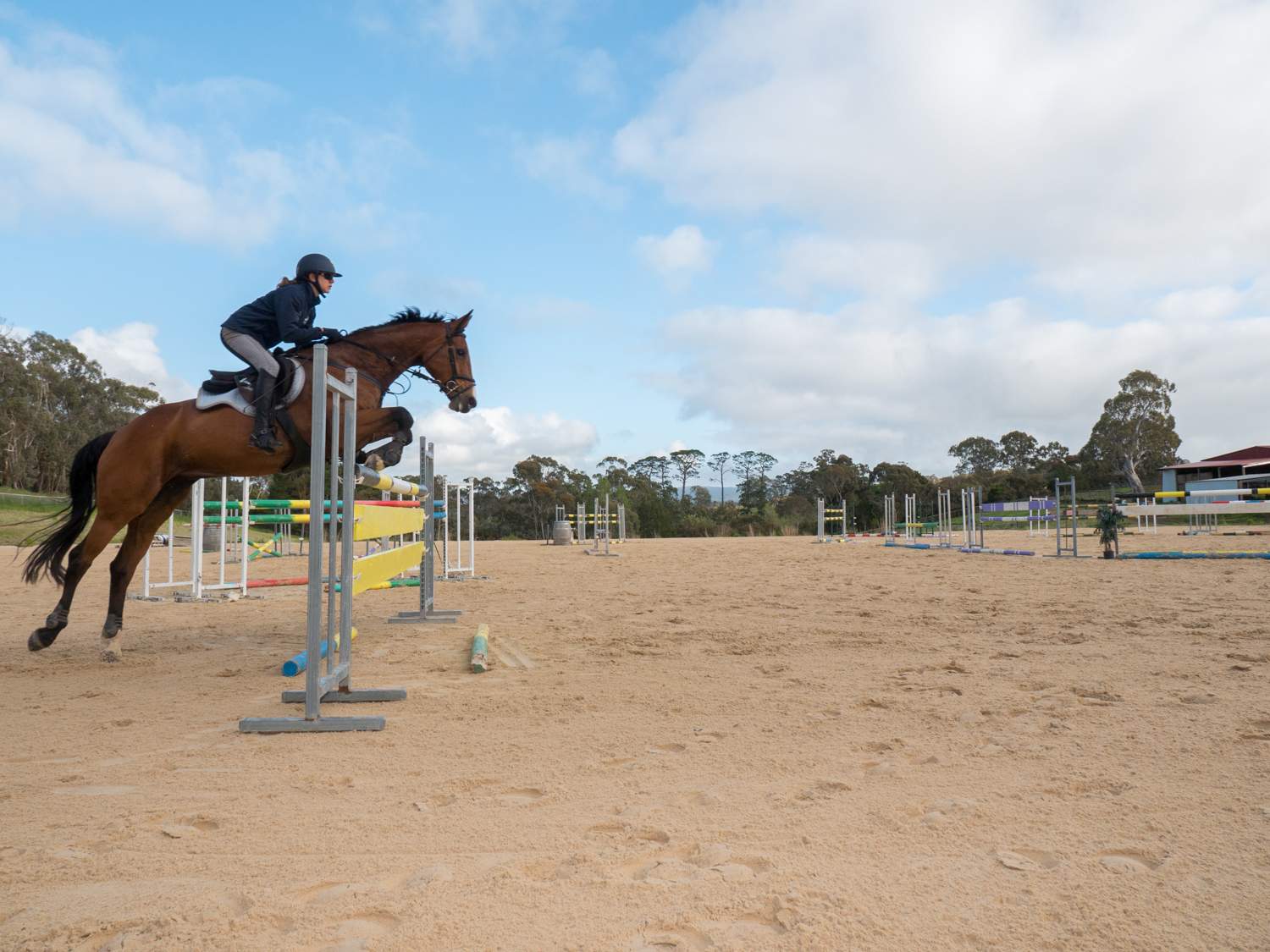 Aus3de: Exploring the highs and lows of equestrian eventing - ABC News