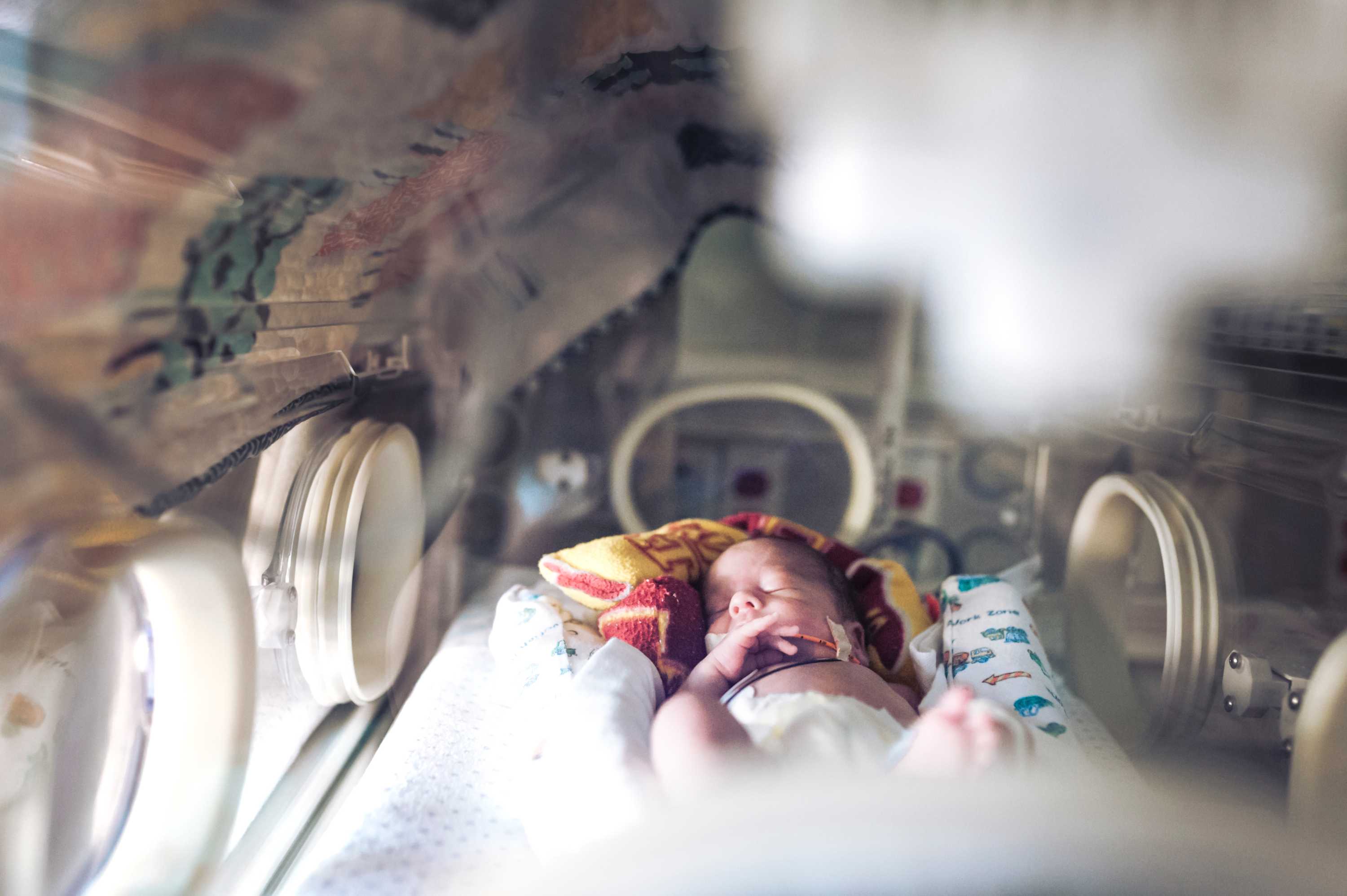 The wild science of artificial wombs and 3D printed ovaries. Future ...