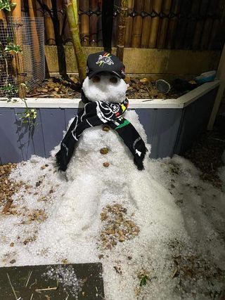 Sydney news: Hail stones lash Penrith in Sydney's west overnight - ABC News