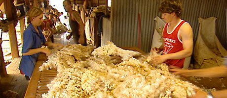 Chinese processors frustrated by contaminated wool - ABC News