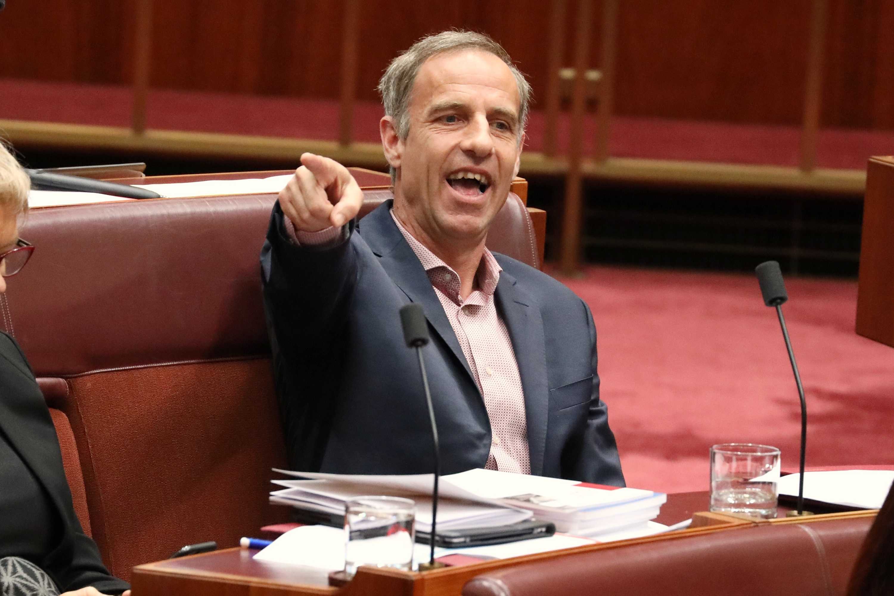 Greens senator Nick McKim facing deportation from PNG after trying to ...