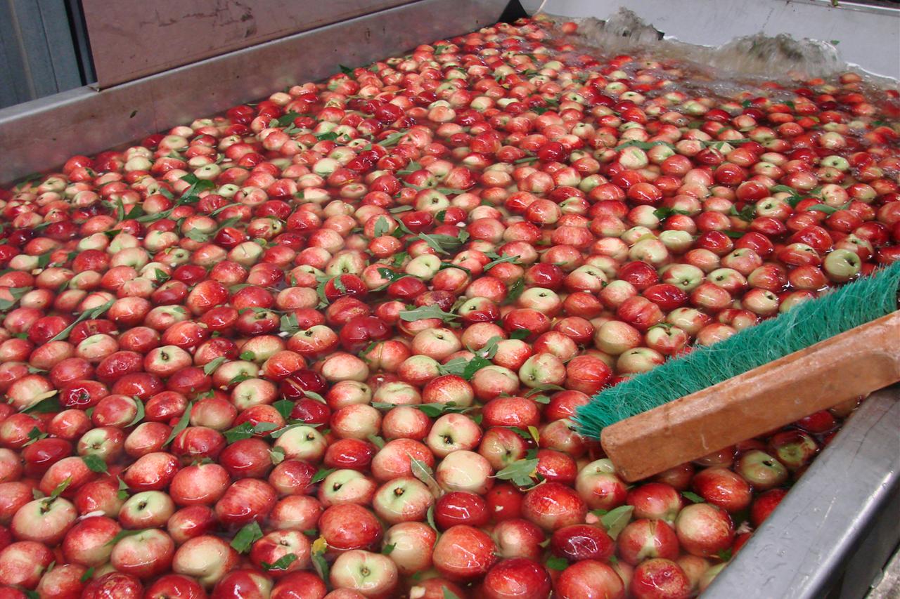 One billion dollar fruit exports at risk - ABC News