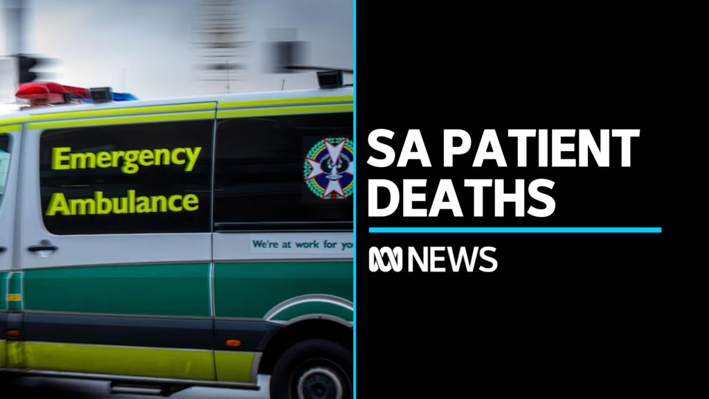 Nearly 100 patients in need of urgent care died waiting for delayed ...