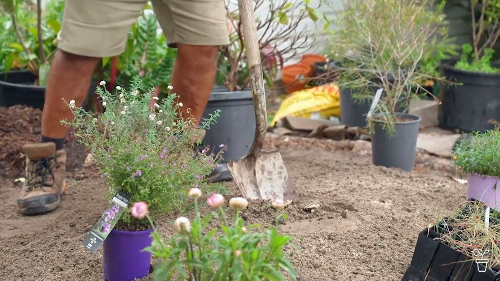 Episodes - Gardening Australia