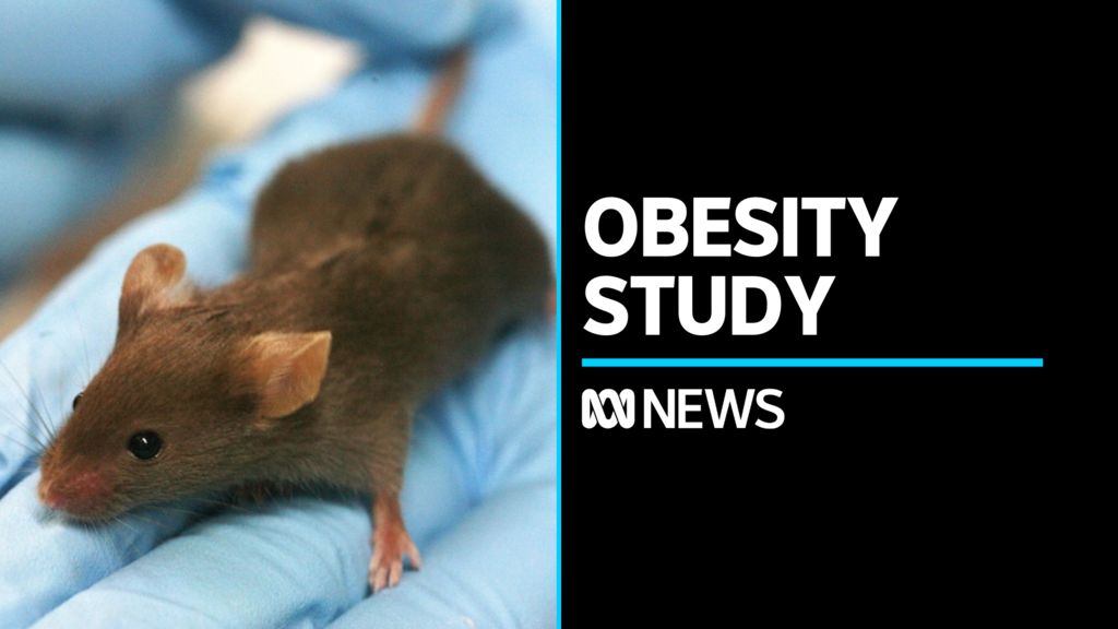 Study shows changing time of day mice eat can influence likelihood of ...