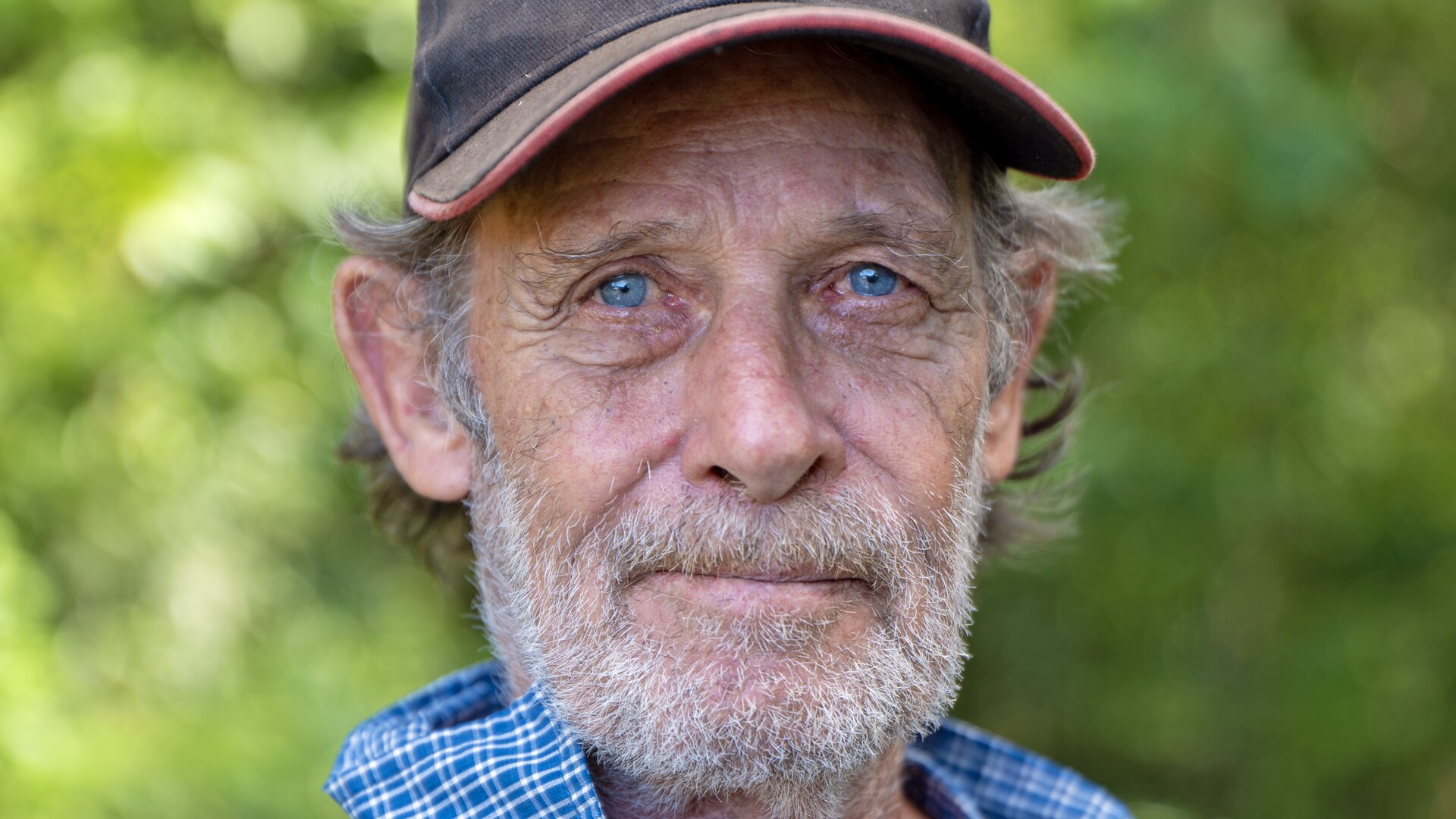 Enduring obsession with the Great Barrier reef captured in dazzling ...