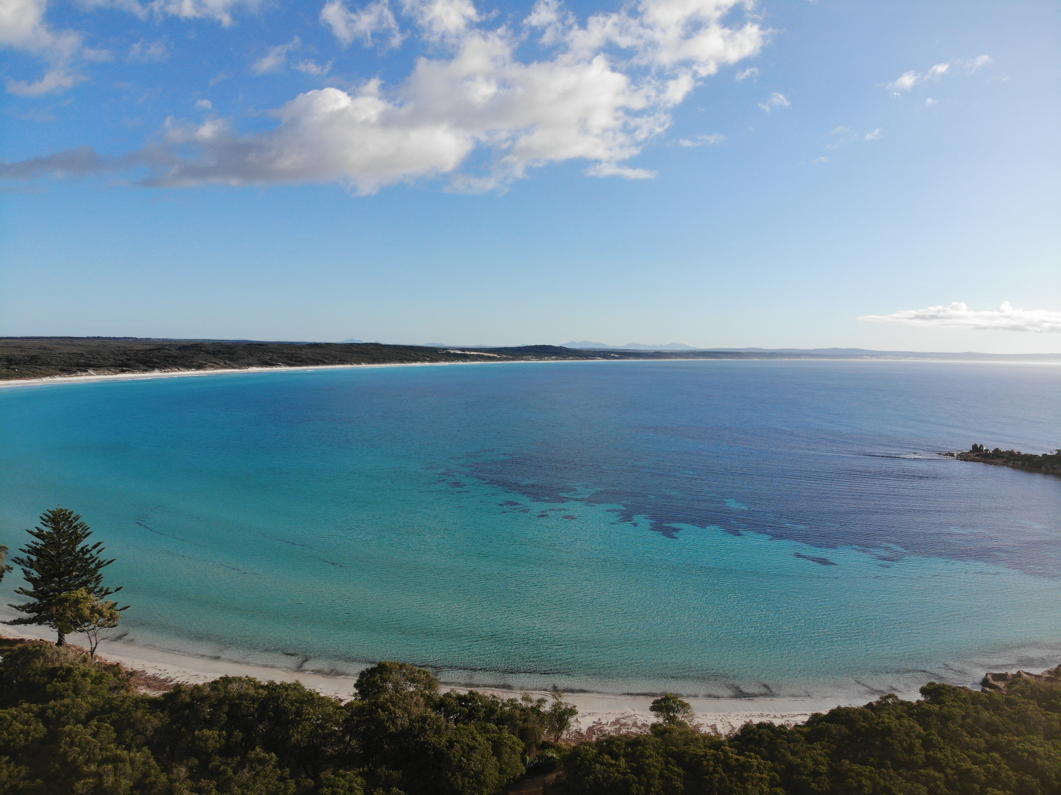 From hunted to protected, how whales became a tourism drawcard for WA's ...